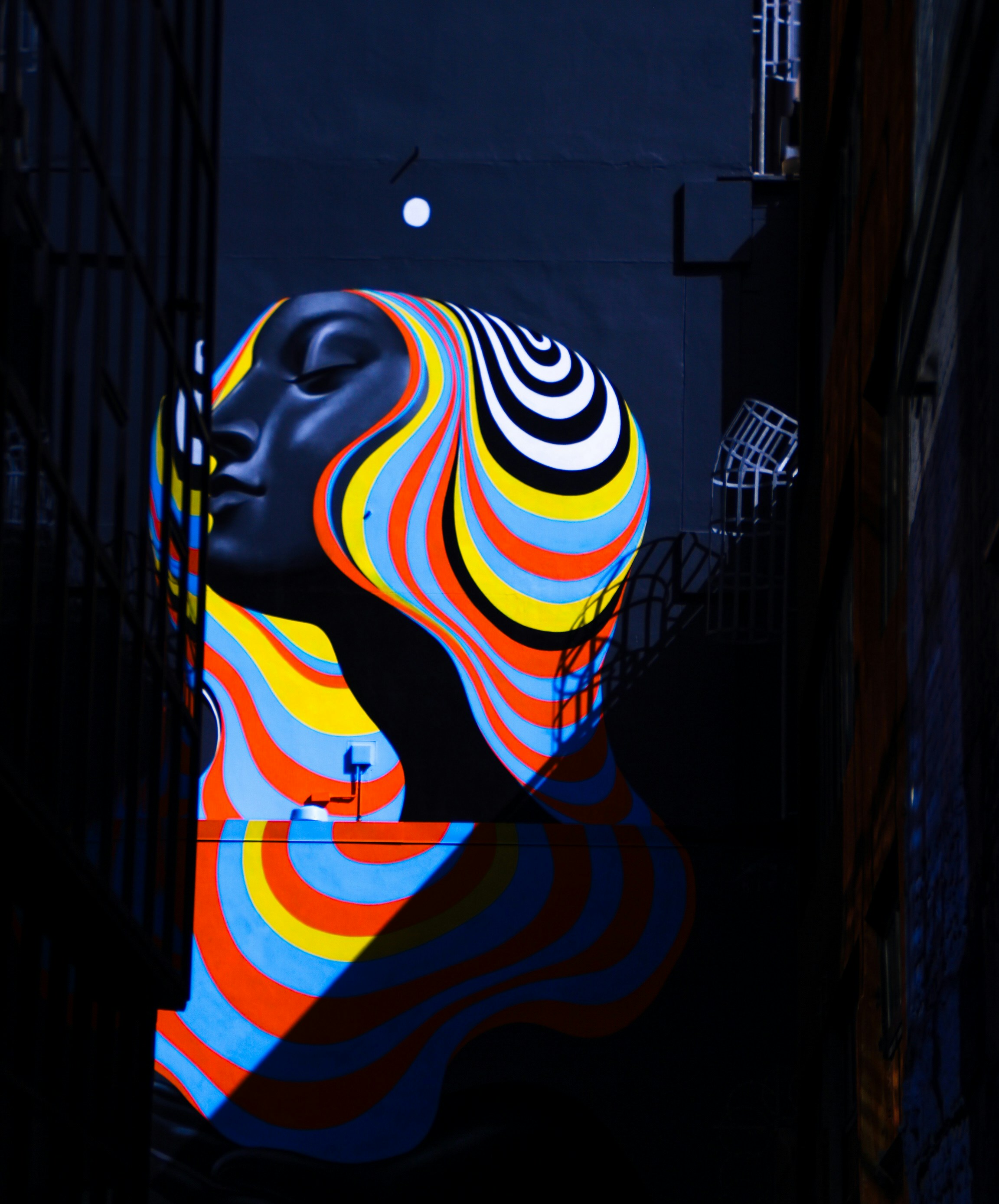 Colorful Silhouette: A Street-Mart Portrait in Neon Waves
