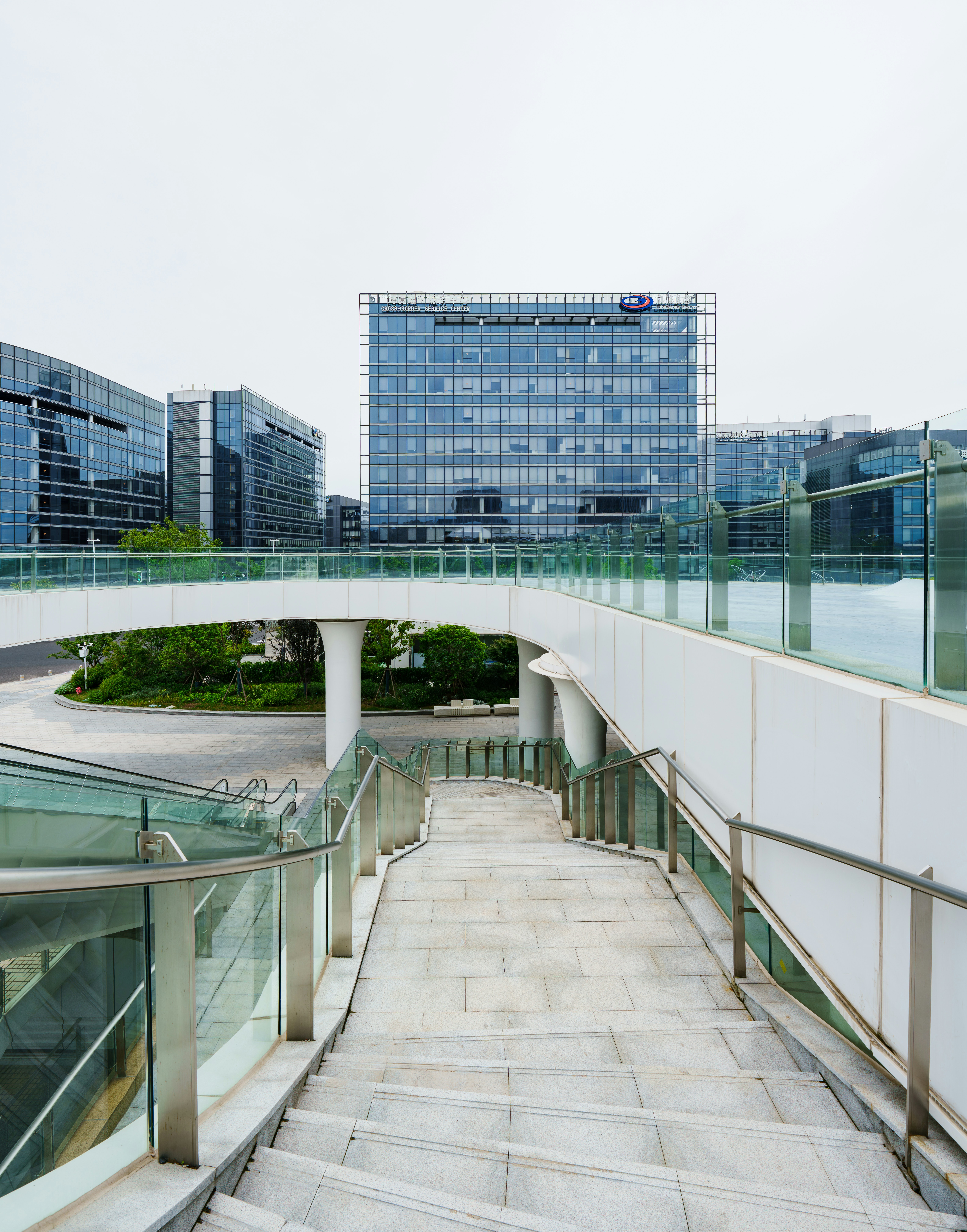 Elevated Ascent: Glass and Concrete Toward the City Core