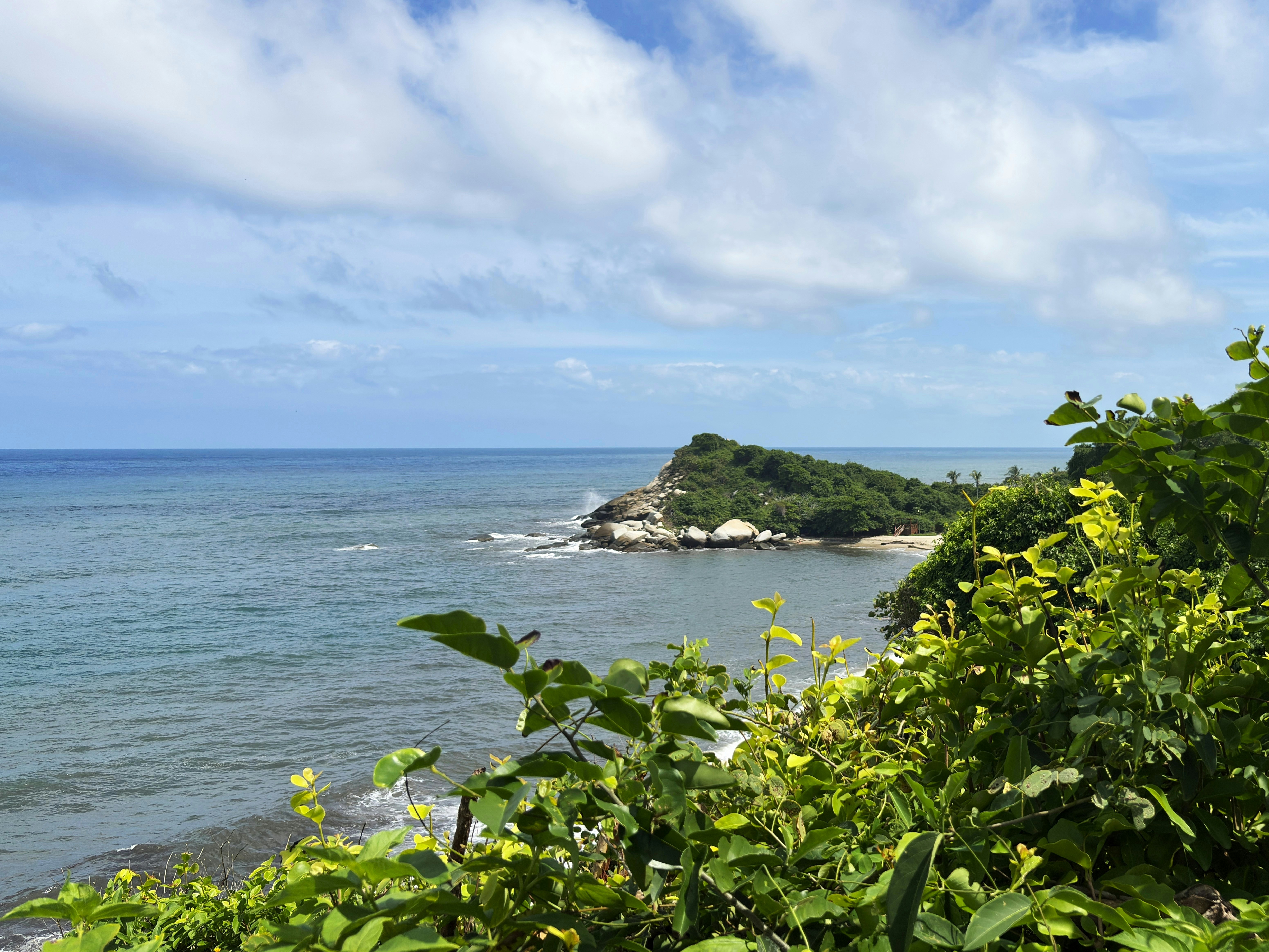 Sunlit Cove: Ocean, Island, and Verdant Foreground