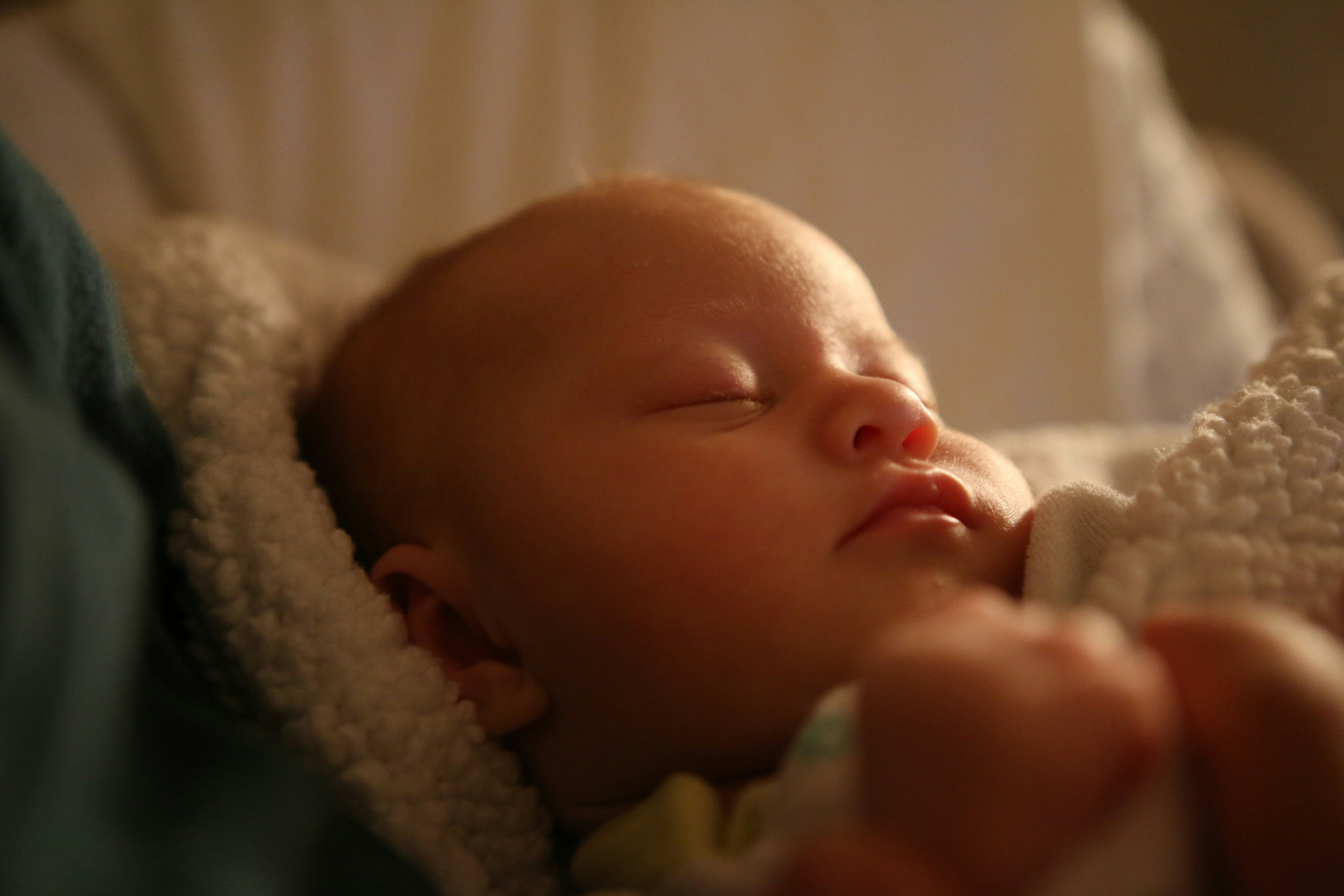 Soft Slumber: A Moment of Quiet in Warm Light