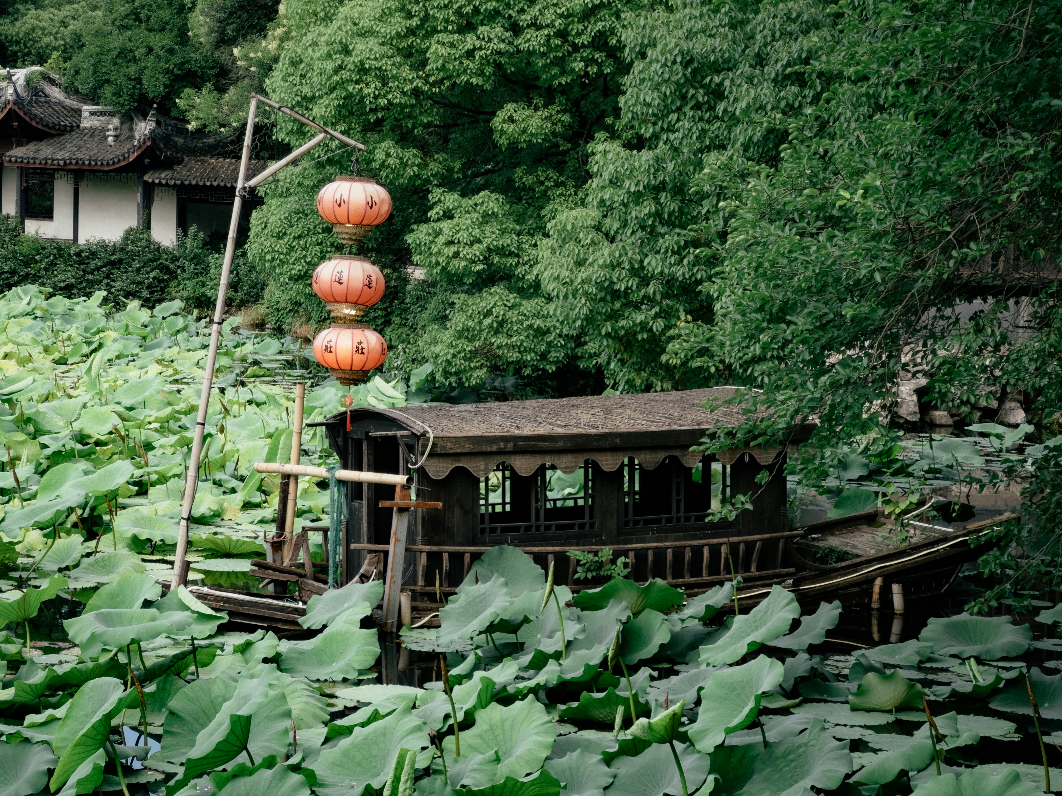 Lanterns Await on a Tranquil Waterway
