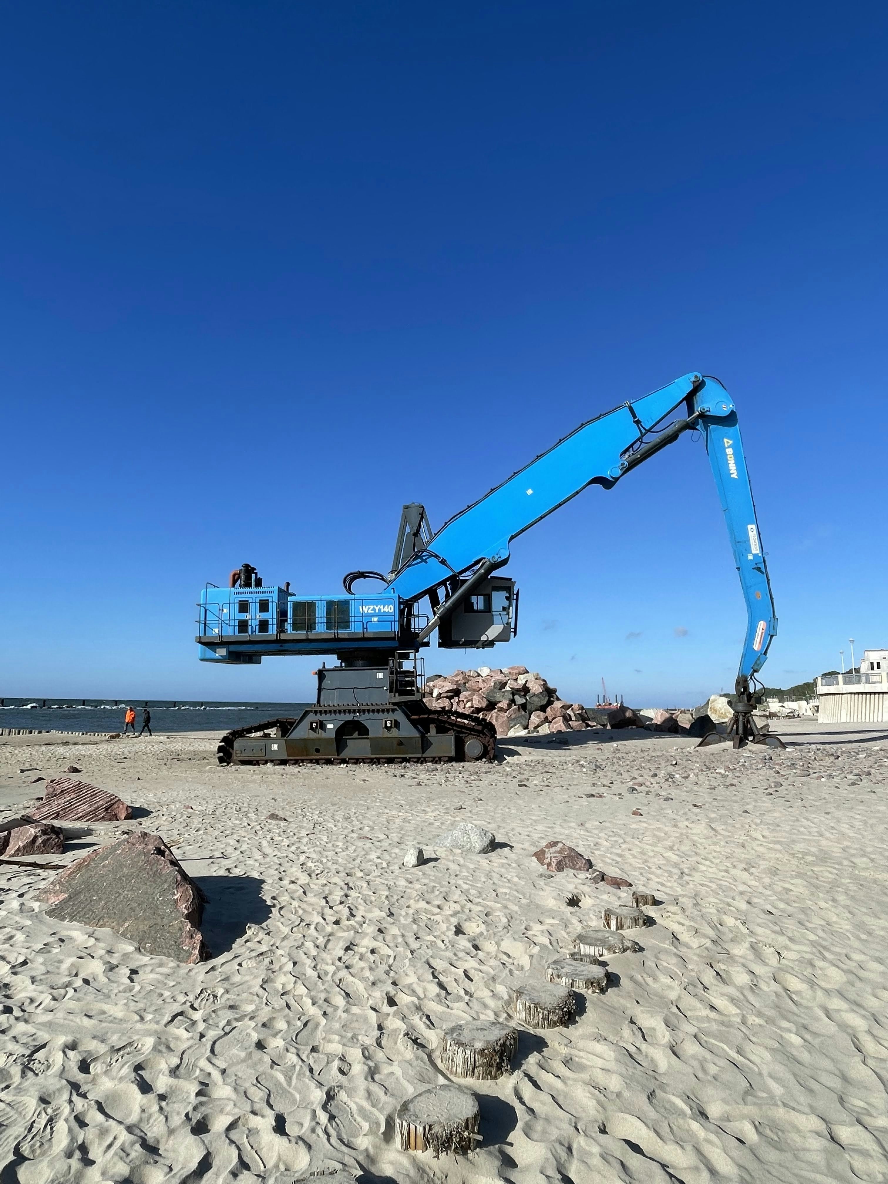 Blue Crane on a Quiet Beach: Machinery against the Horizon