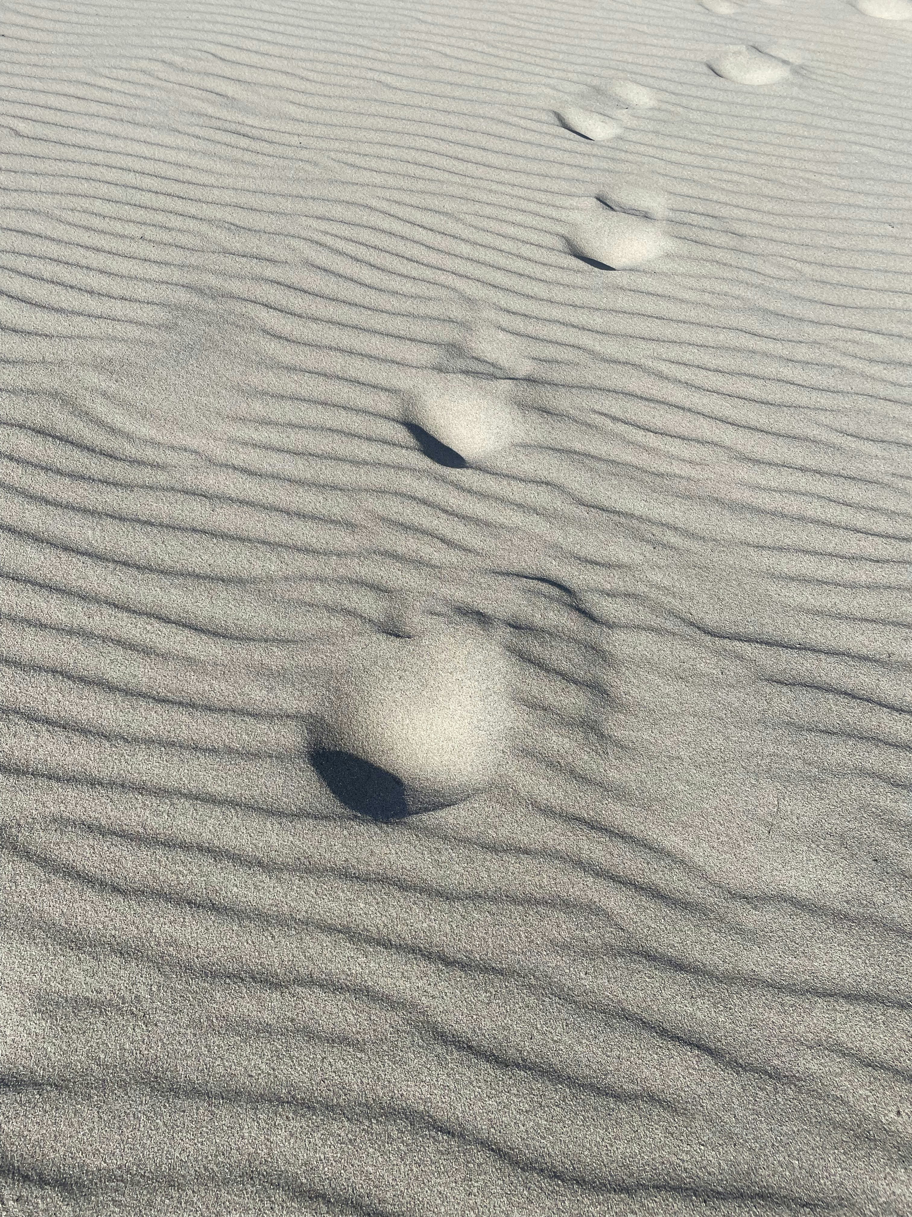 Footprints in Quiet Dunes: A Quiet Trek Across Wind-Carved Sand