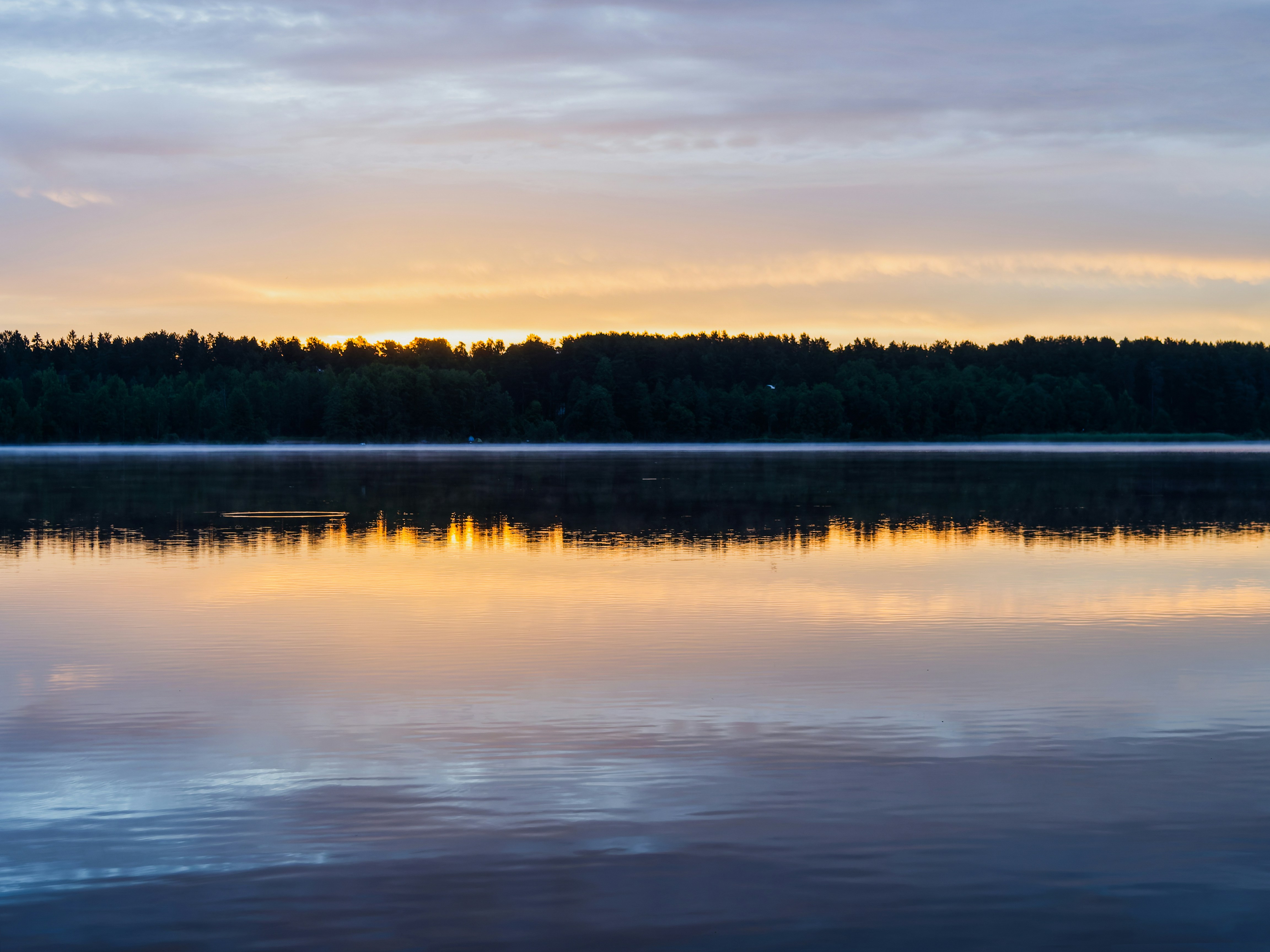 Dawn on the Quiet Lake: Steam of Colors Across the Glassy Surface