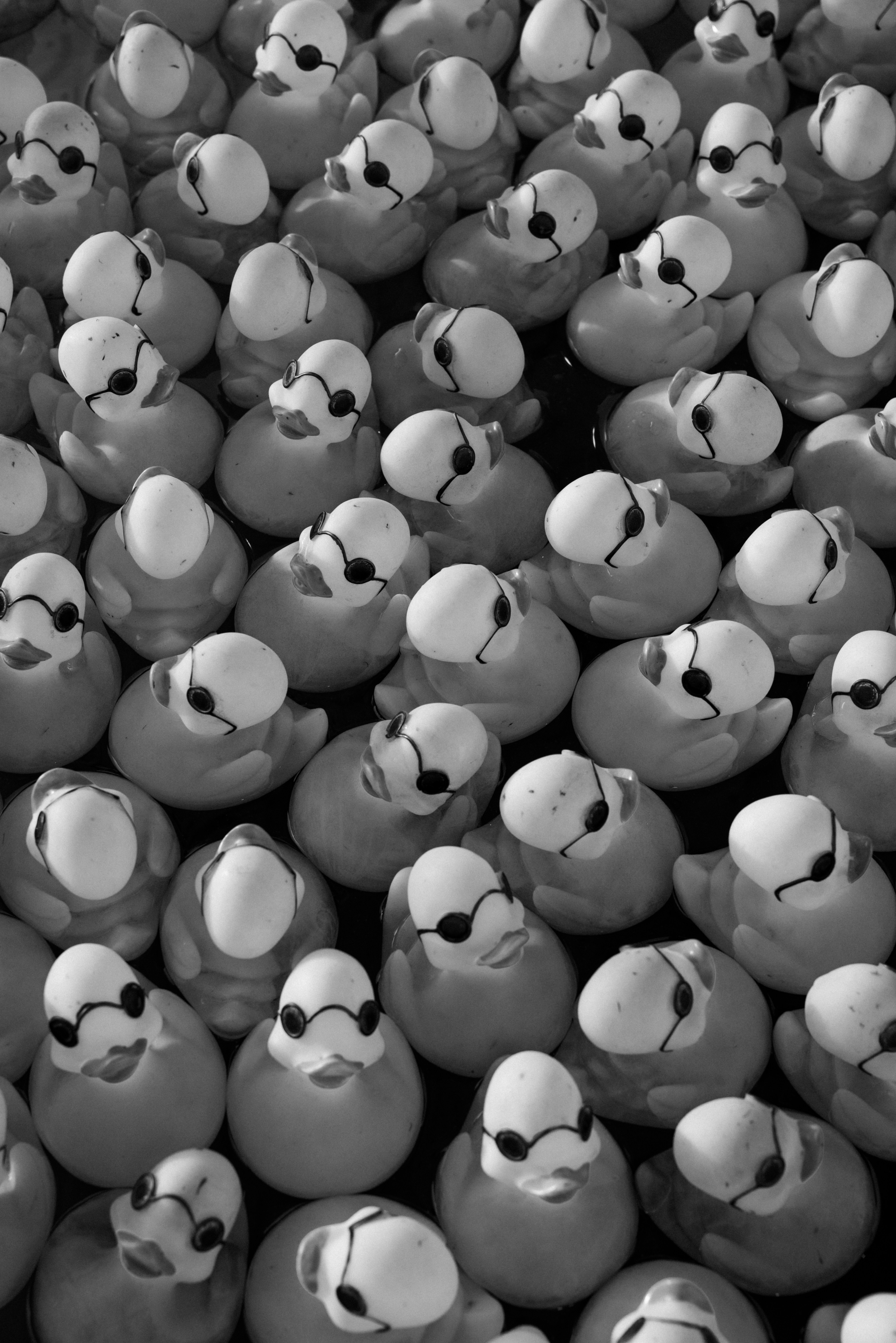 Rabbit Swarm: A Serene Miniature Chorus in Monochrome