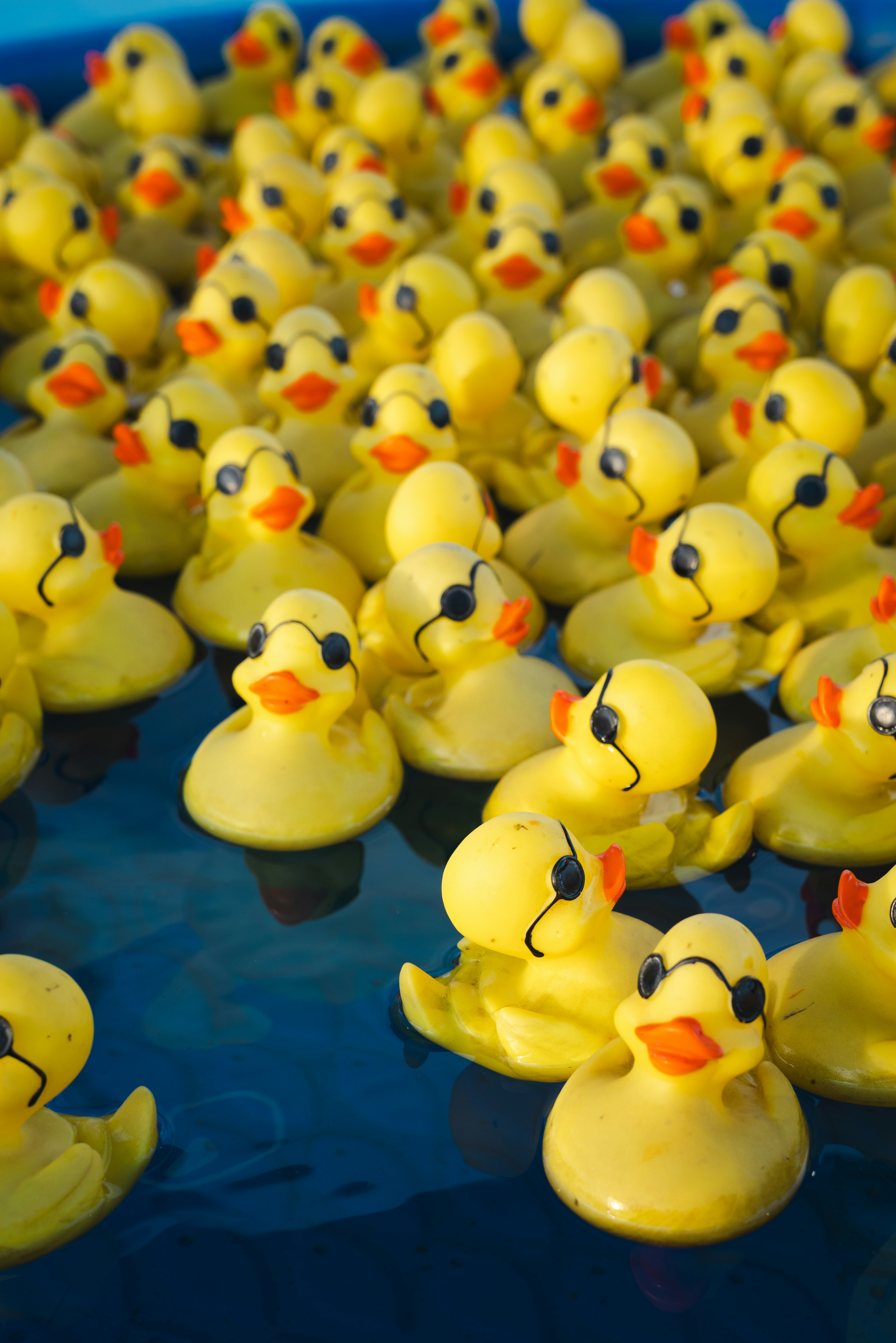 Duck Parade: A Sea of Sunny Rubber Beacons