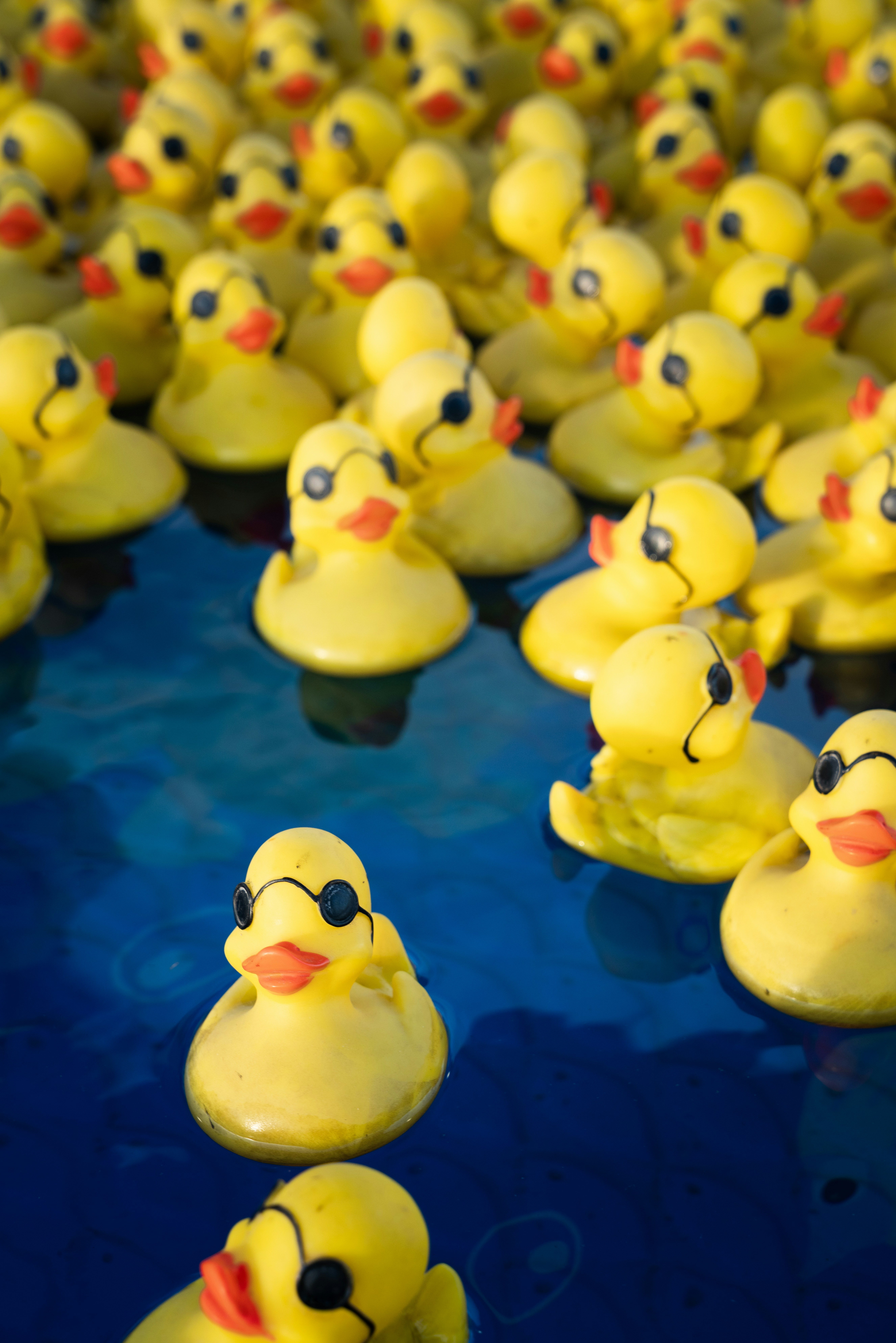 Crowd of Rubber Duckies Glowing in Pool of Blue