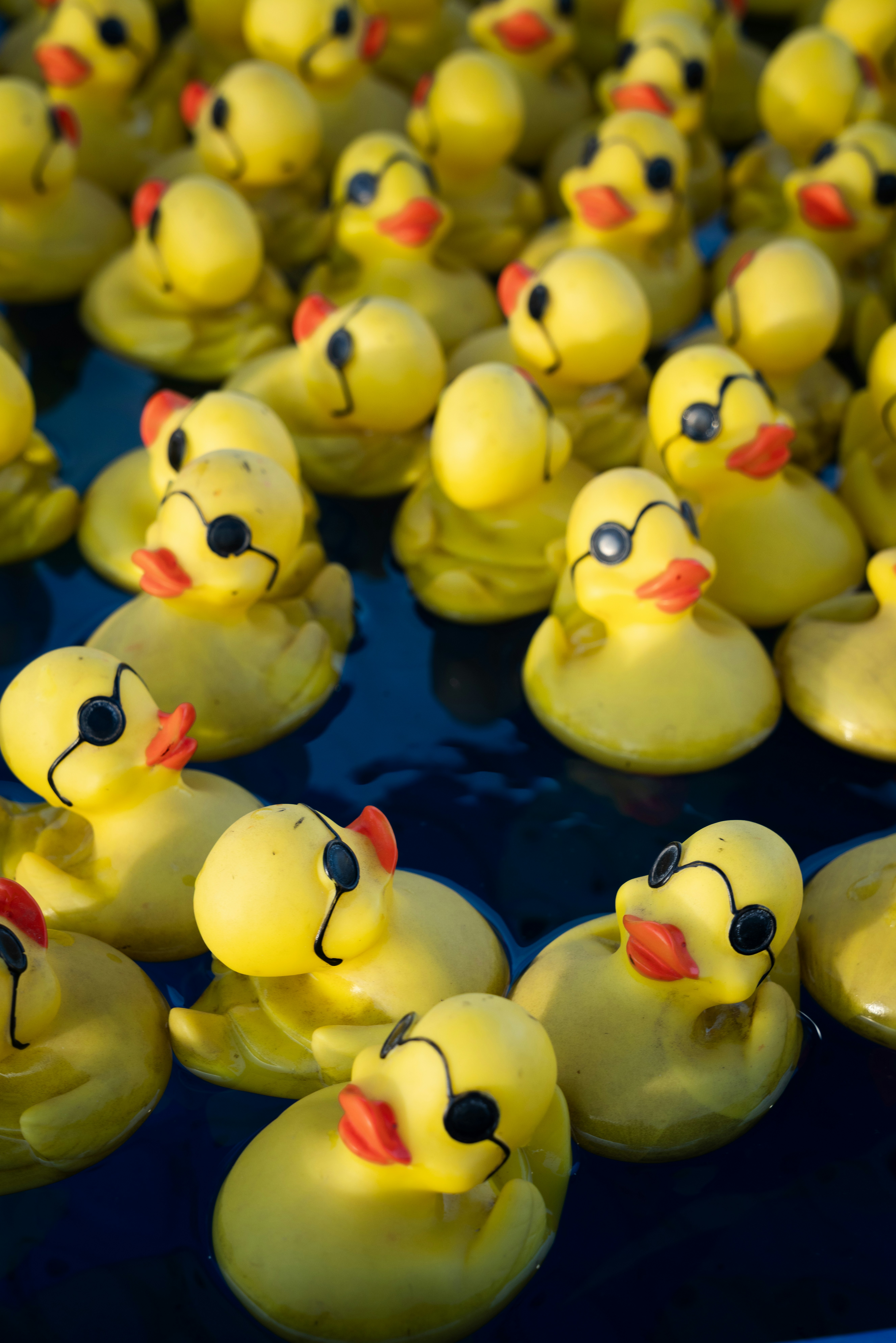 Crowd of Rubber Ducks Gently Float in a Blue Pool