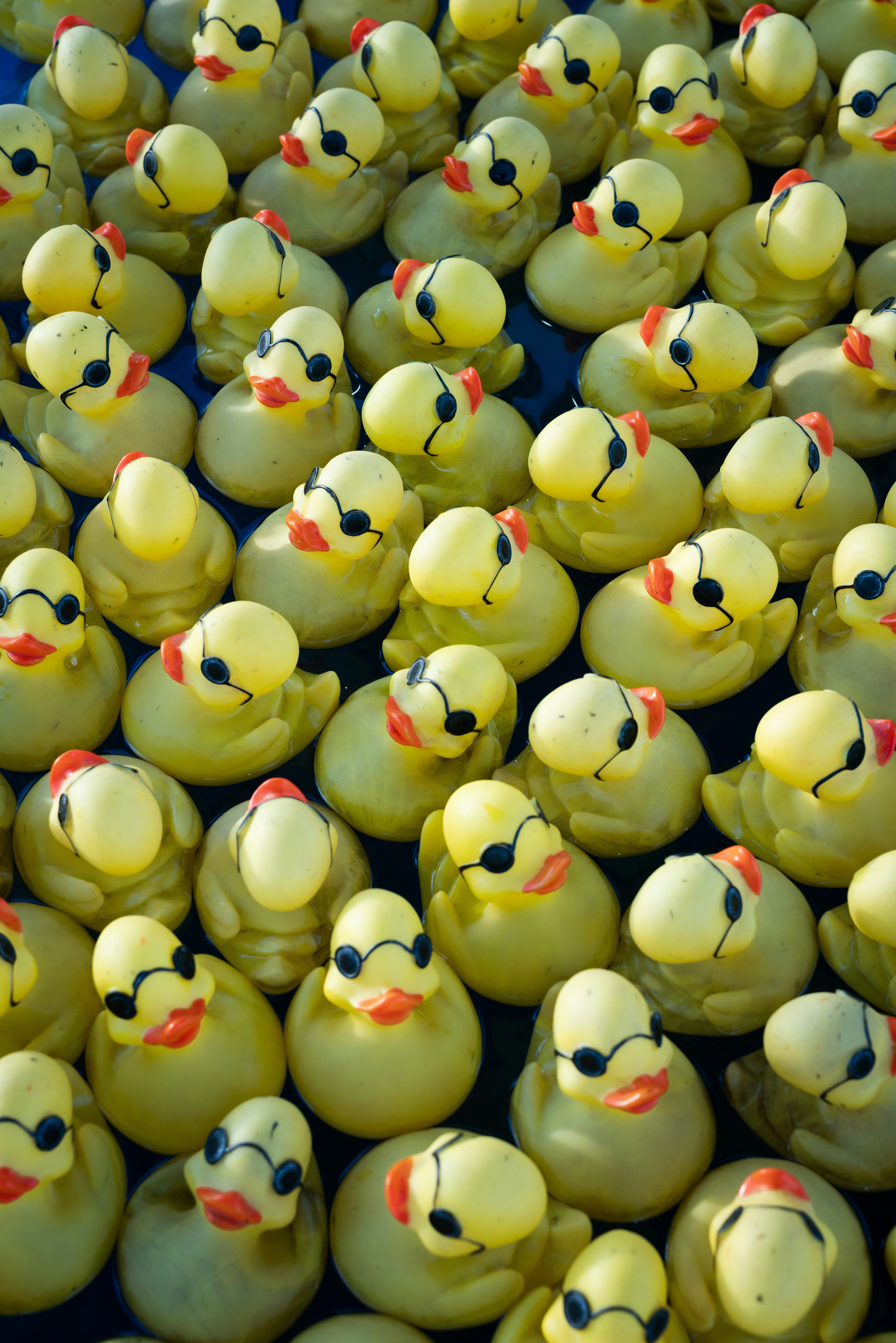 Duck Parade: A Sea of Smiling Yellow Faces