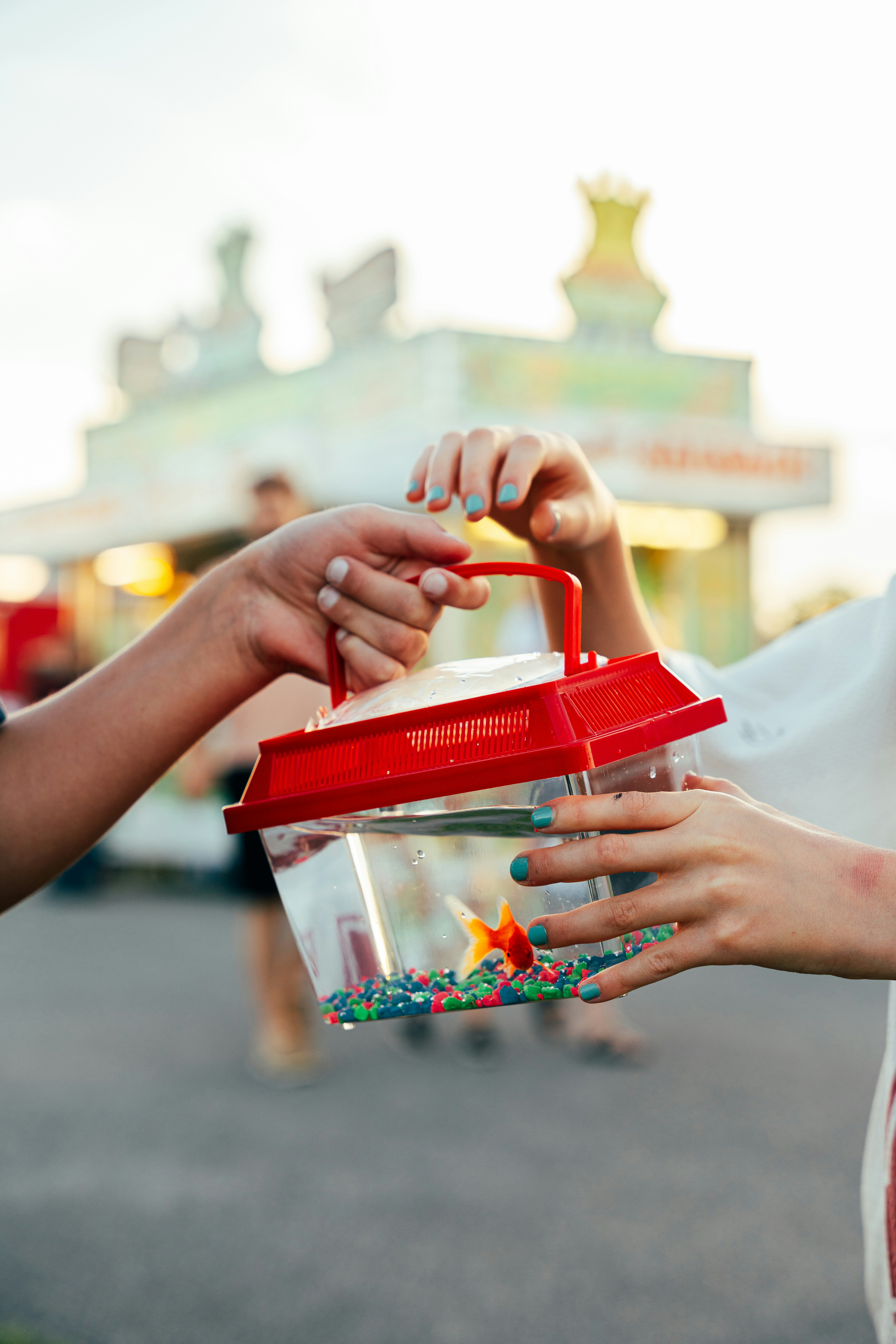 Two hands holding a small fish tank with a goldfish.