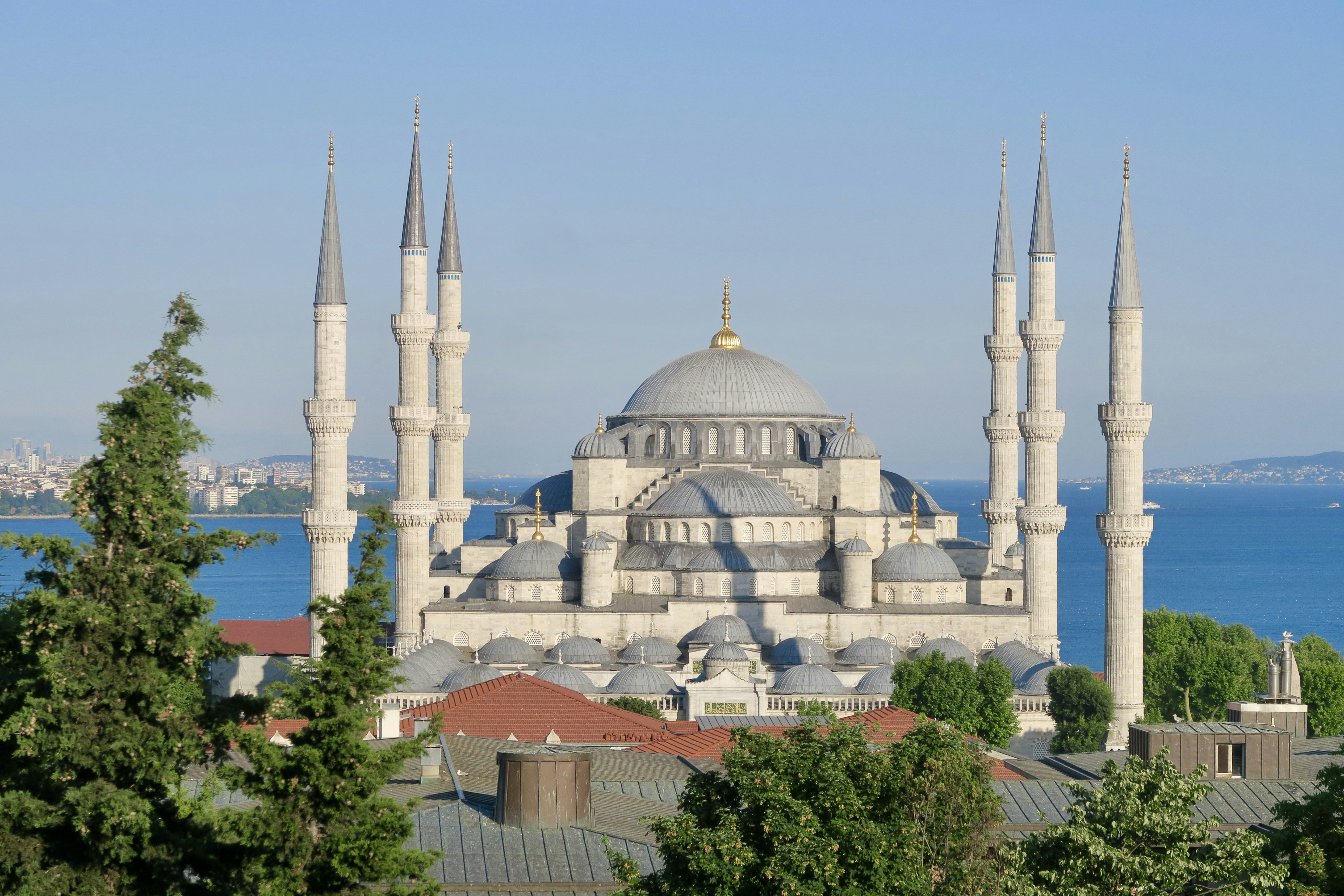 Dome and Minarets: A Central Mosque Framed by Trees and Sea