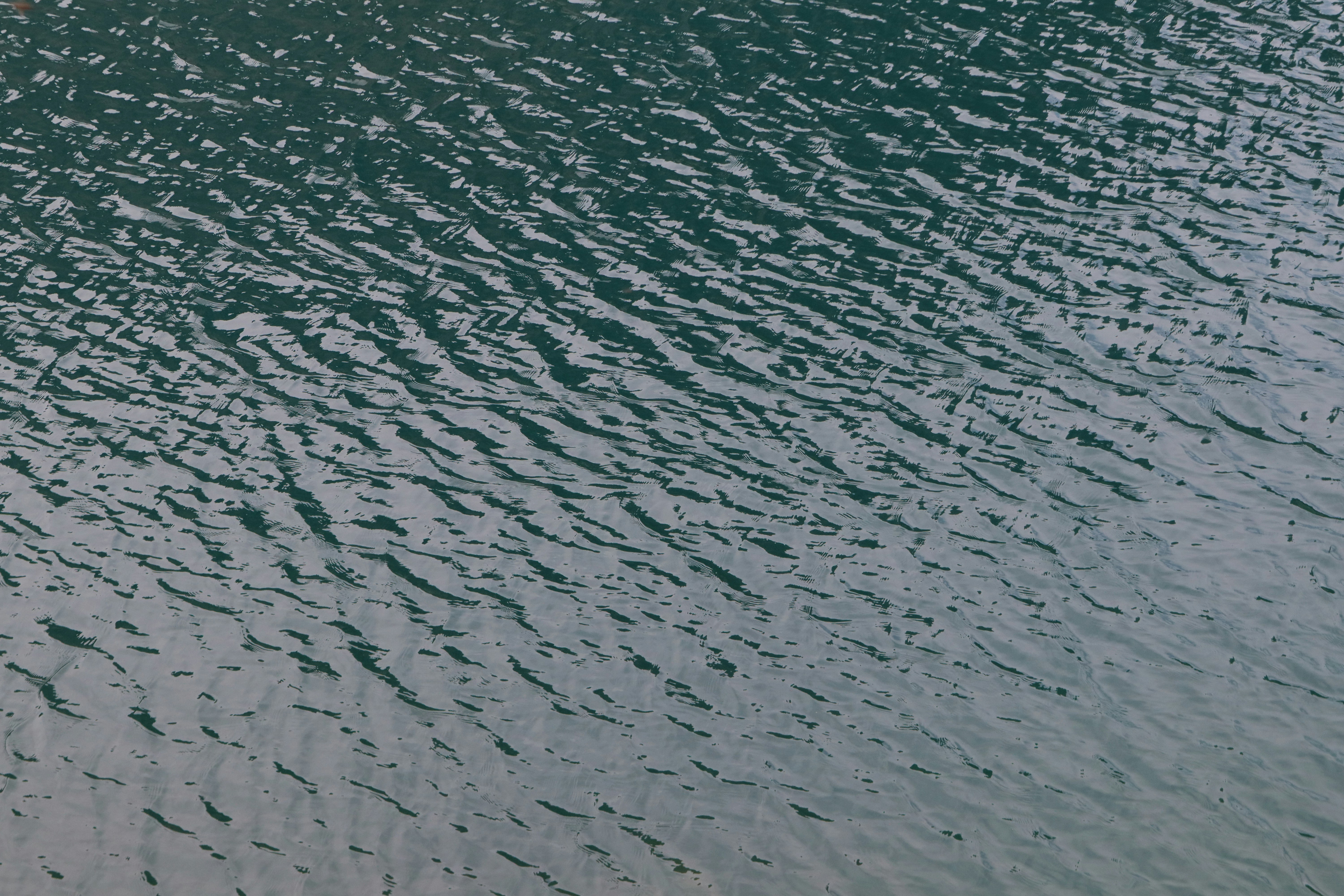 Ripple Script: Subtle Wave Patterns Across Quiet Water