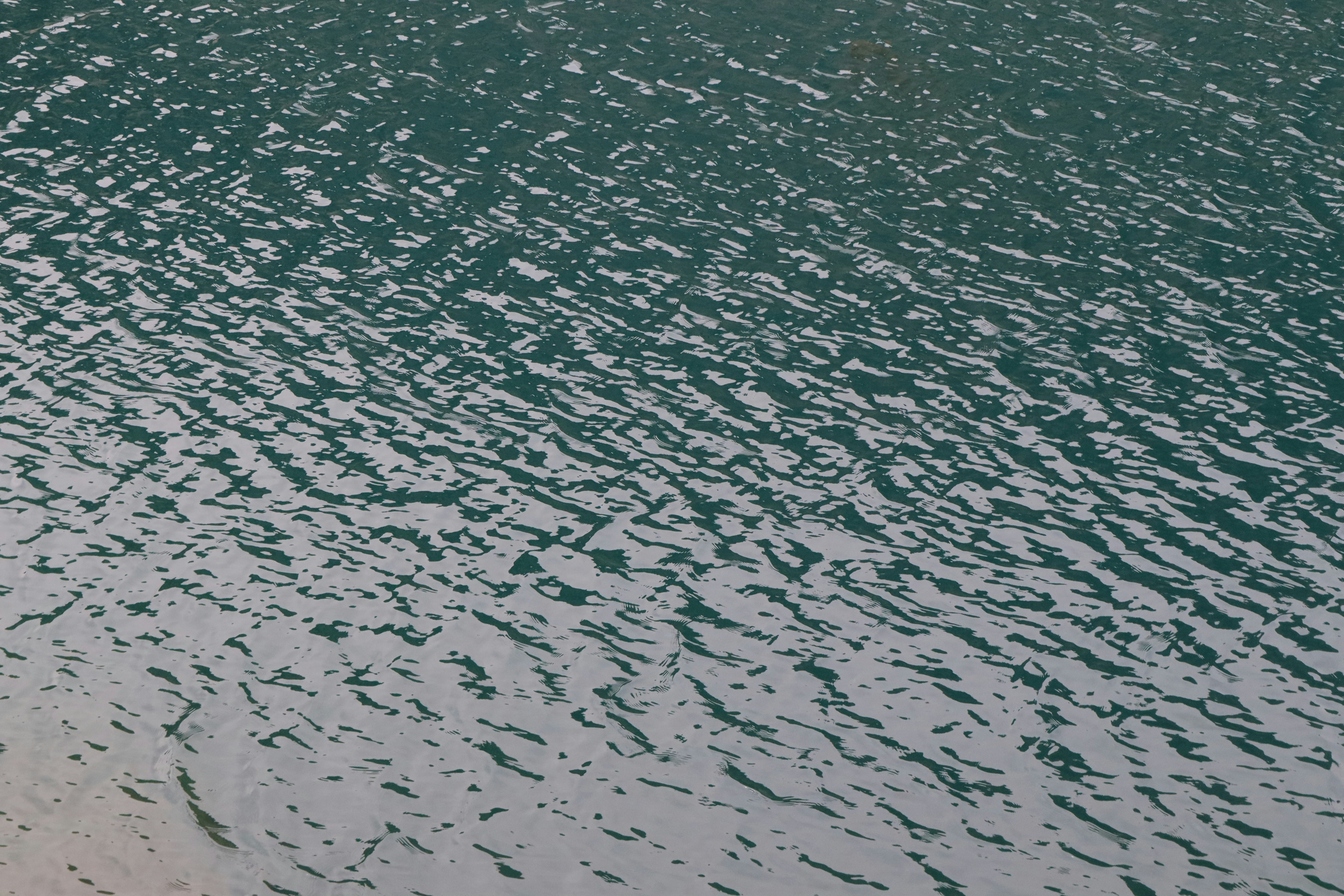 Rippling Edge: A Minimal Study of Shoreline Texture
