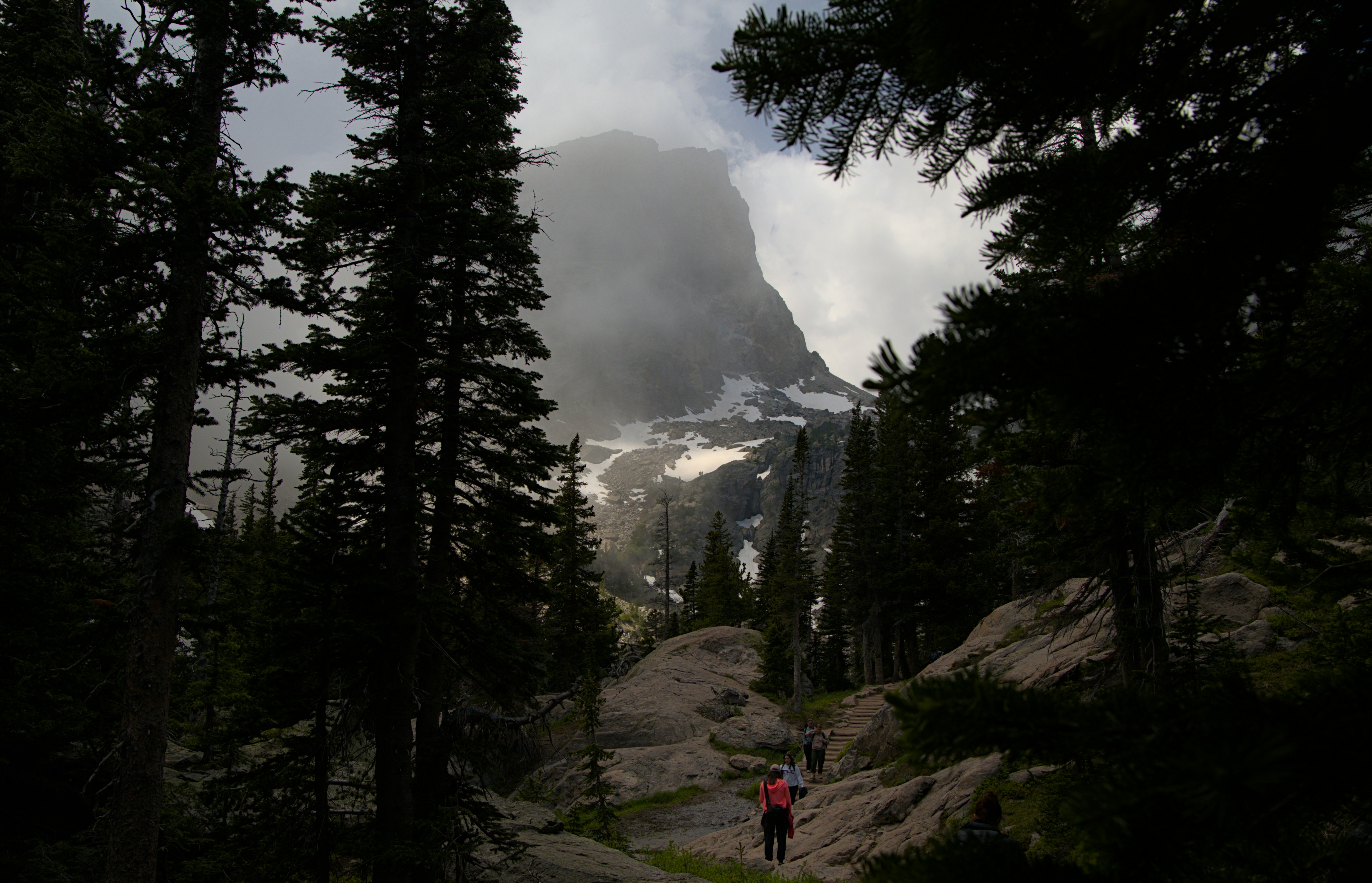 Trail toward the misted peak: a lone hiker under towering pines