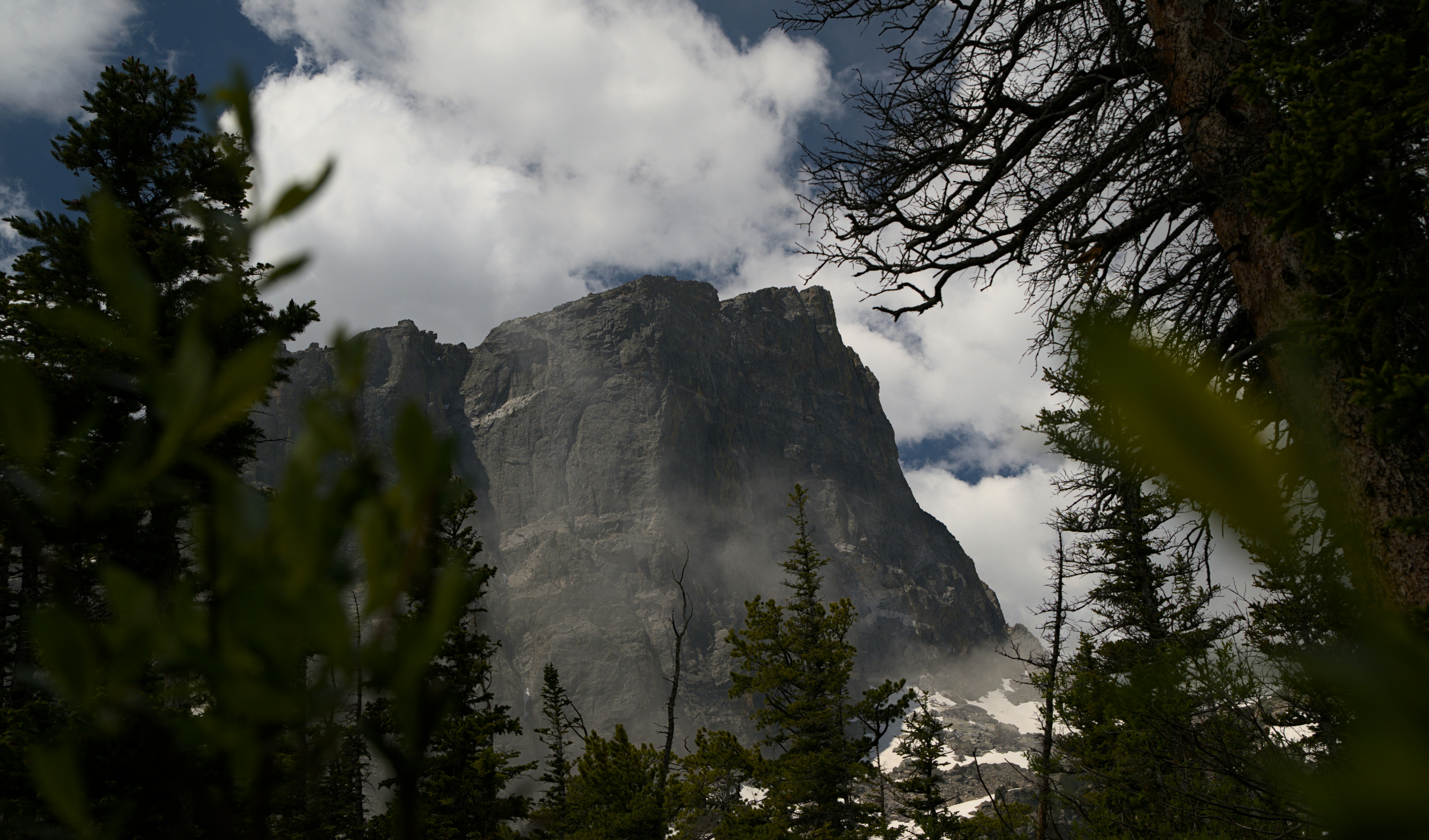 Peak through the Needle‑like Pines