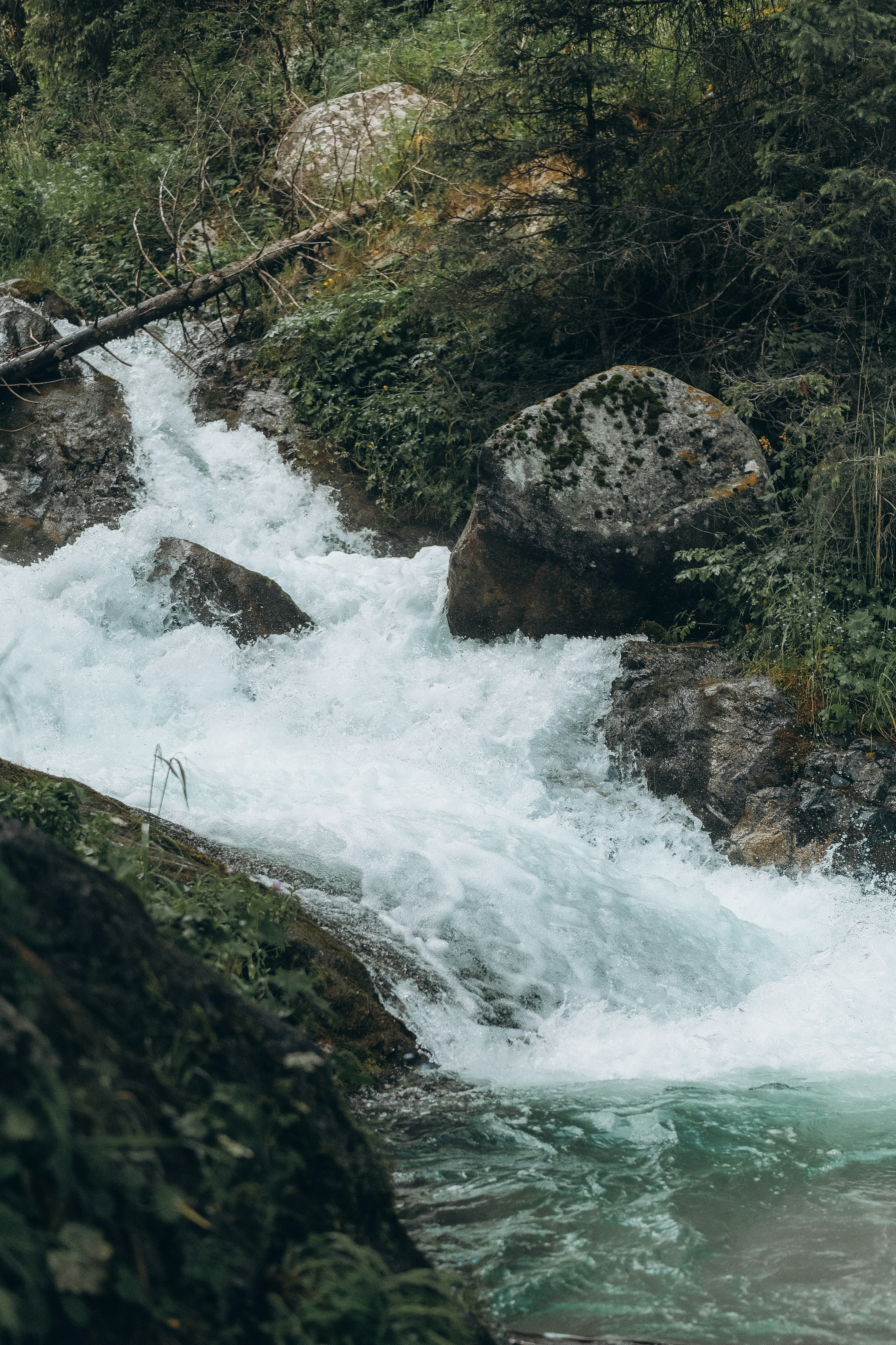 Mana River: Cascades Over Mossy Stones