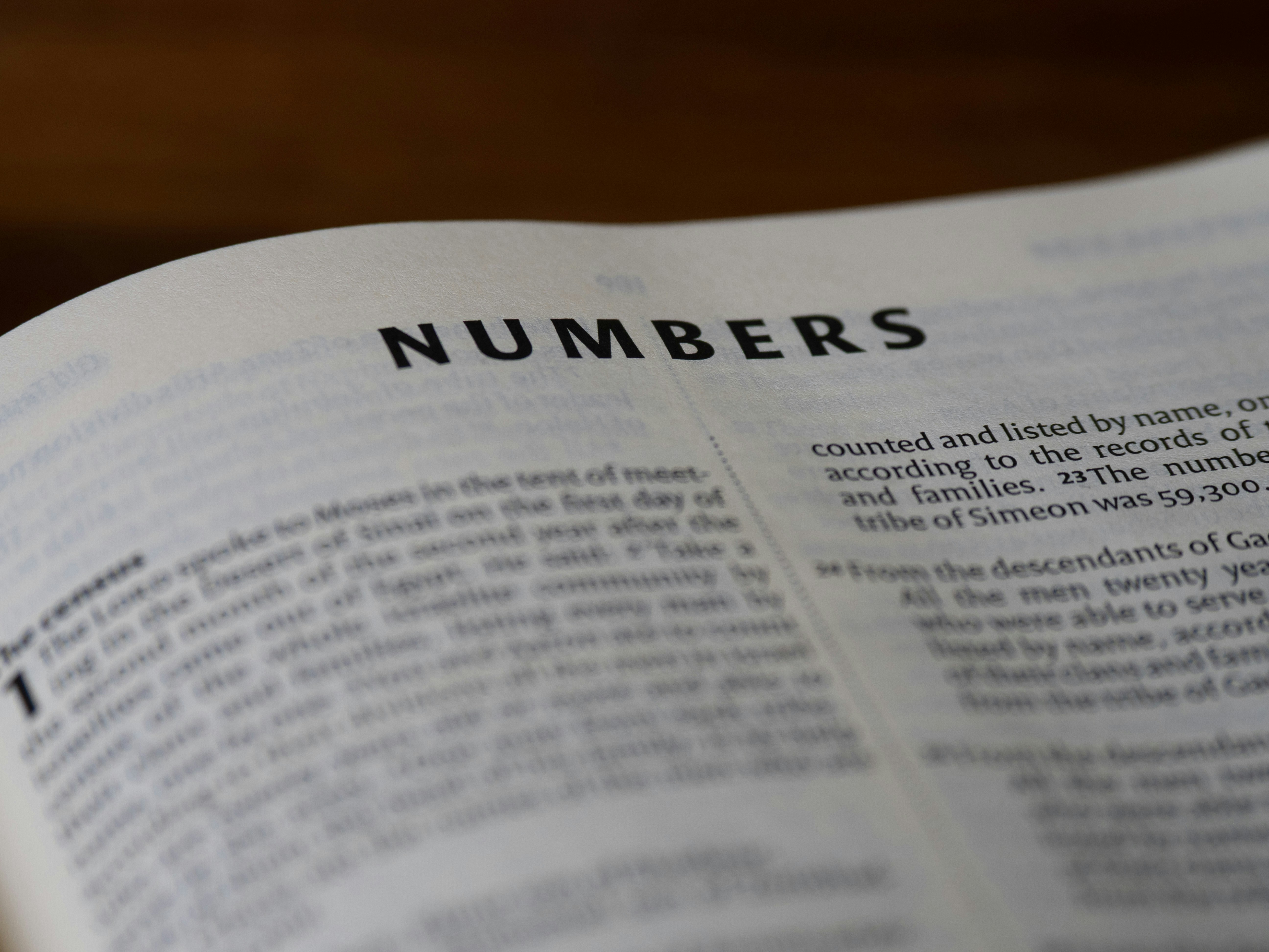 The Book of Numbers