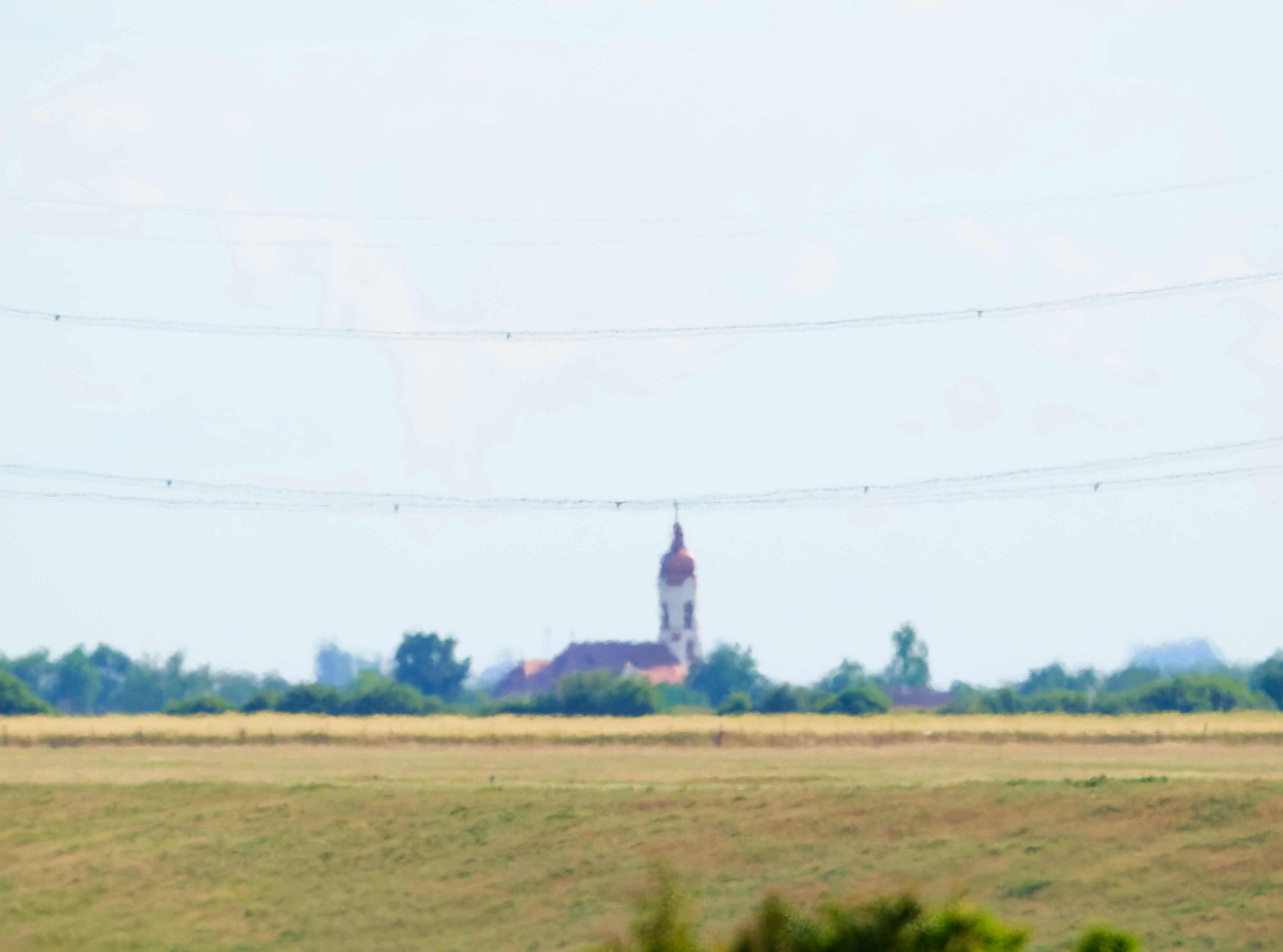 Spired Horizon: Field, Village Bell Tower on a Quiet Plain