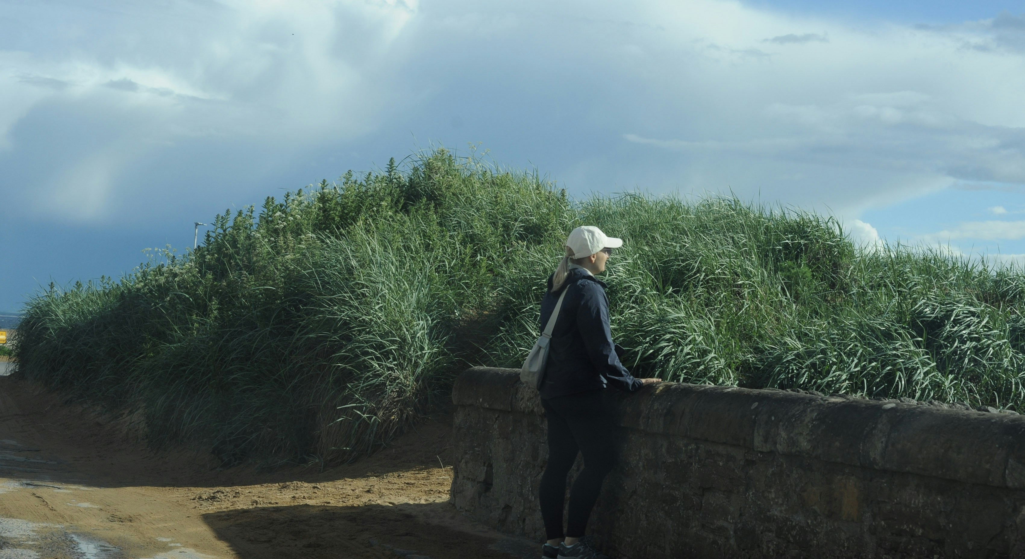 Along the Sea Wall: A Seaside Stroller Beneath Windy High Grass
