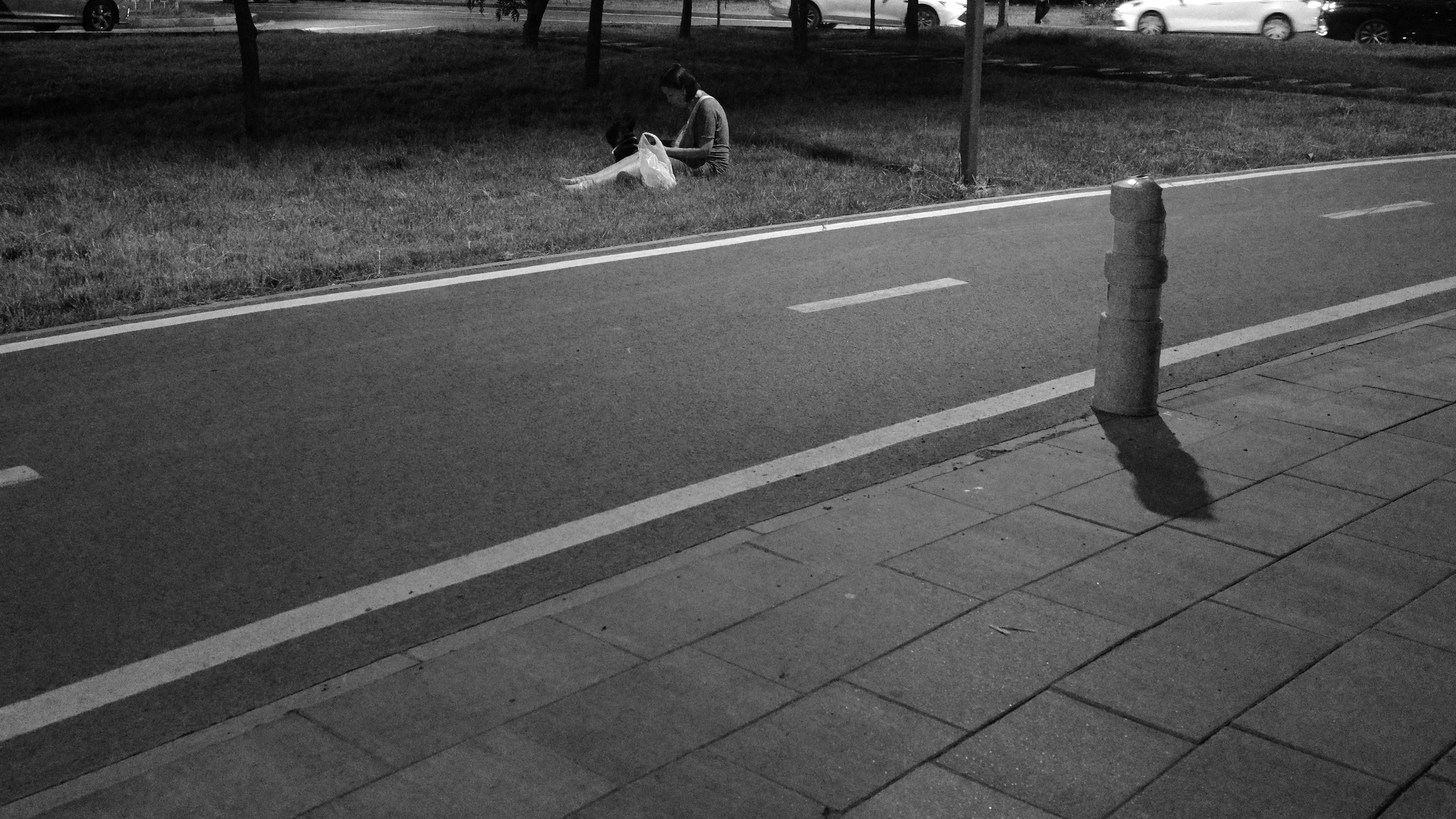 Park Bench Silence: A Moment by the Walkway