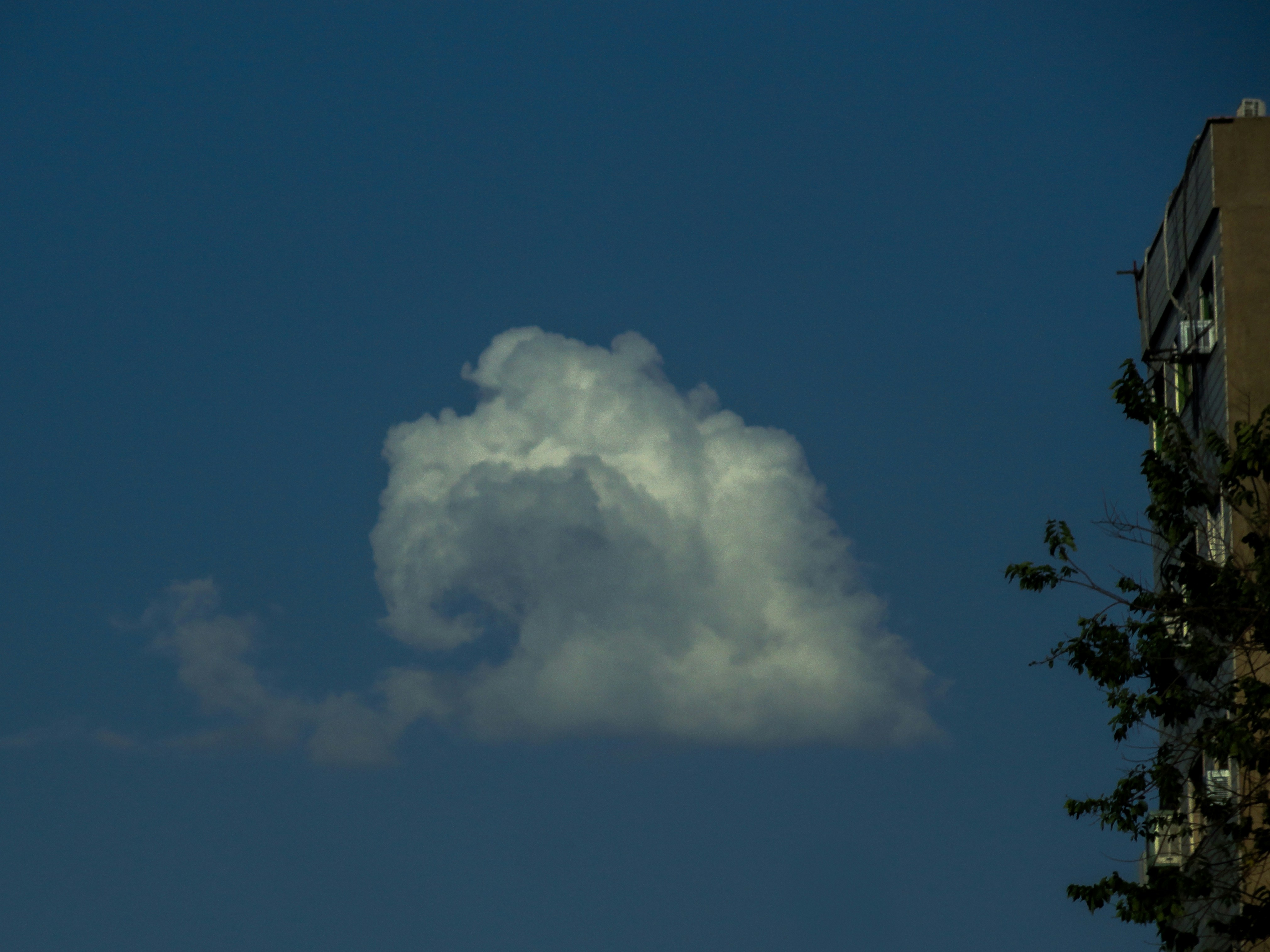 Single cumulus drifting over a cityscape edge