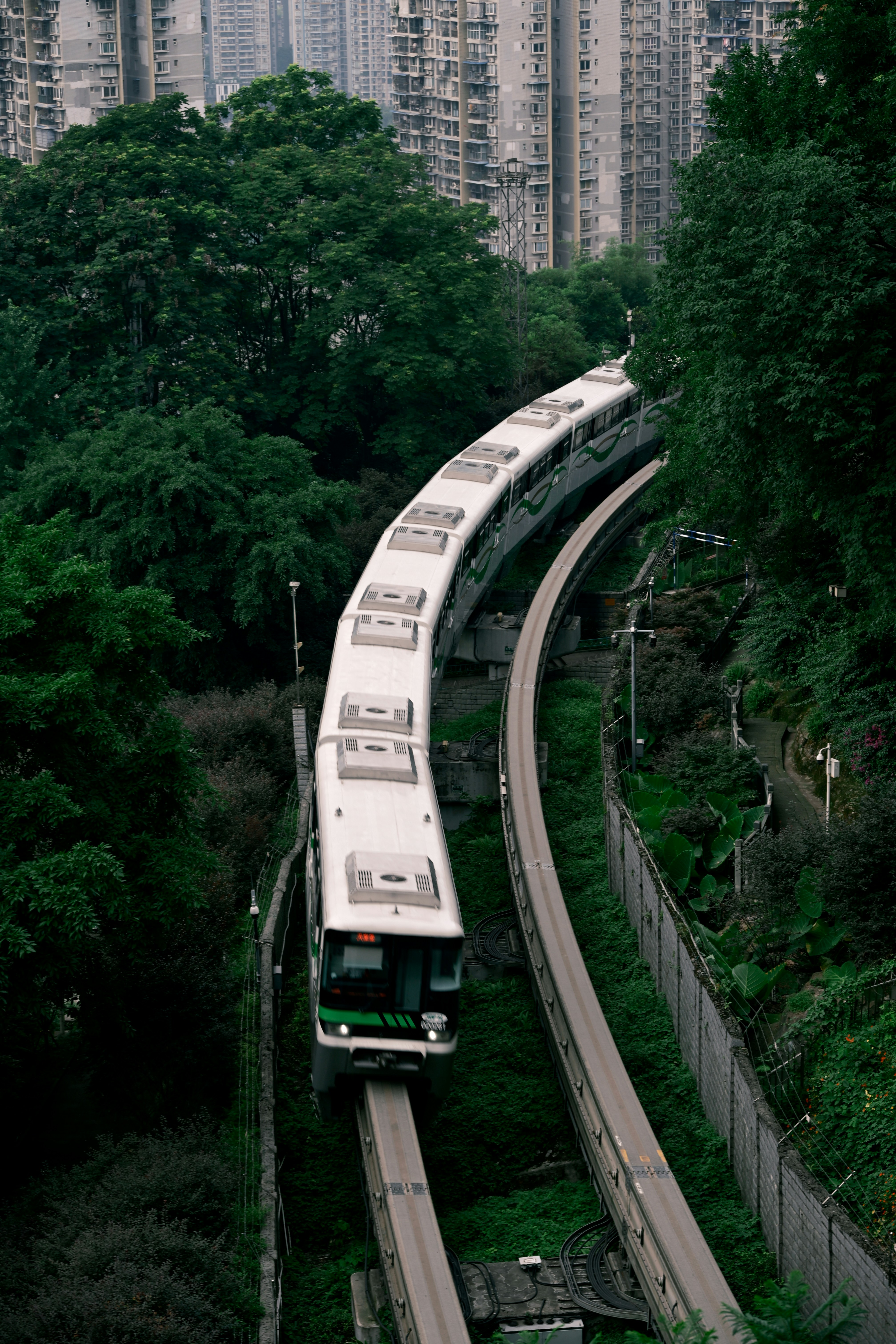 Urban Alpine Rail: A White Train Winding Through Green High-Redern