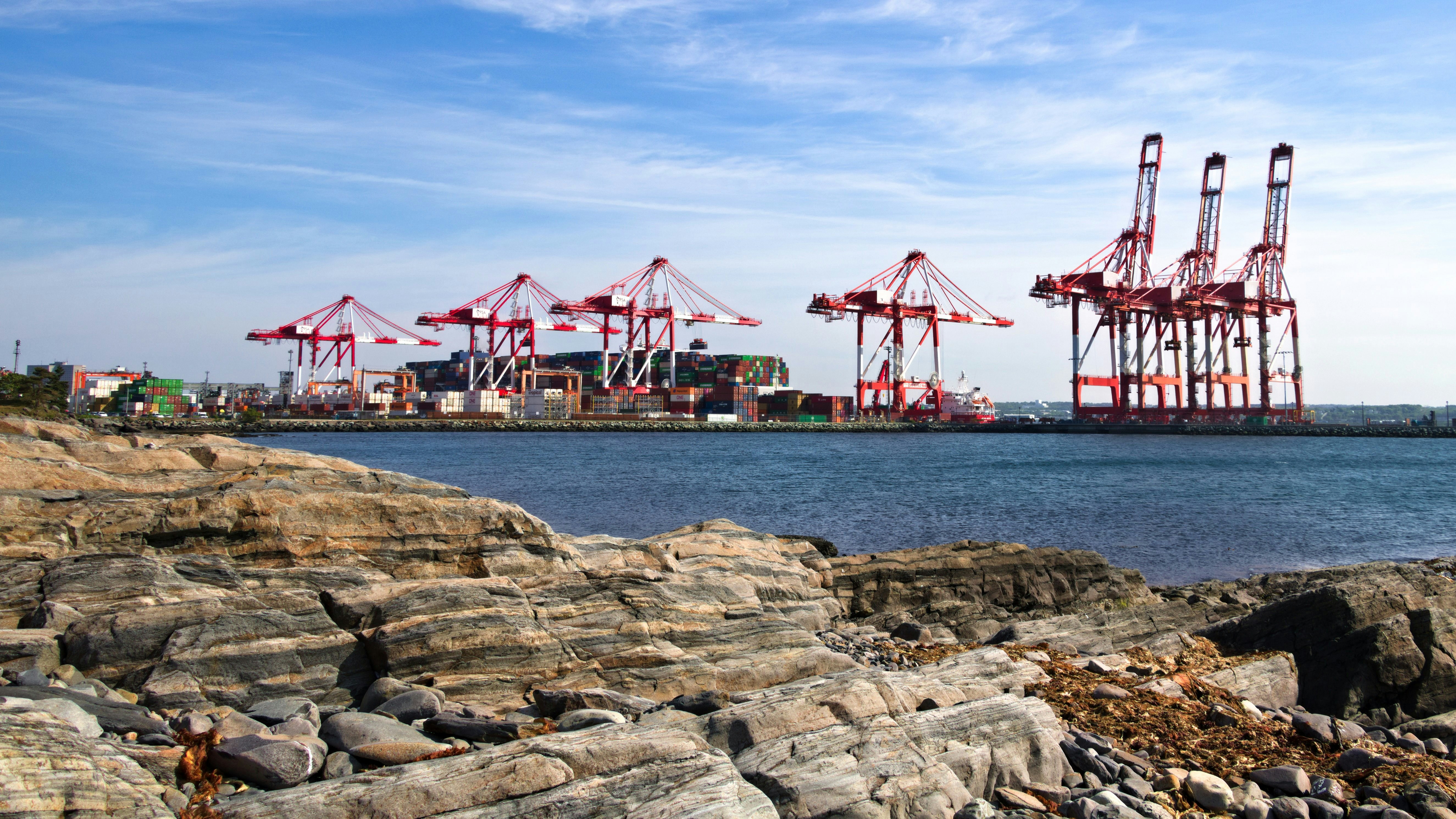 Red Cranes Over Quiet Waters