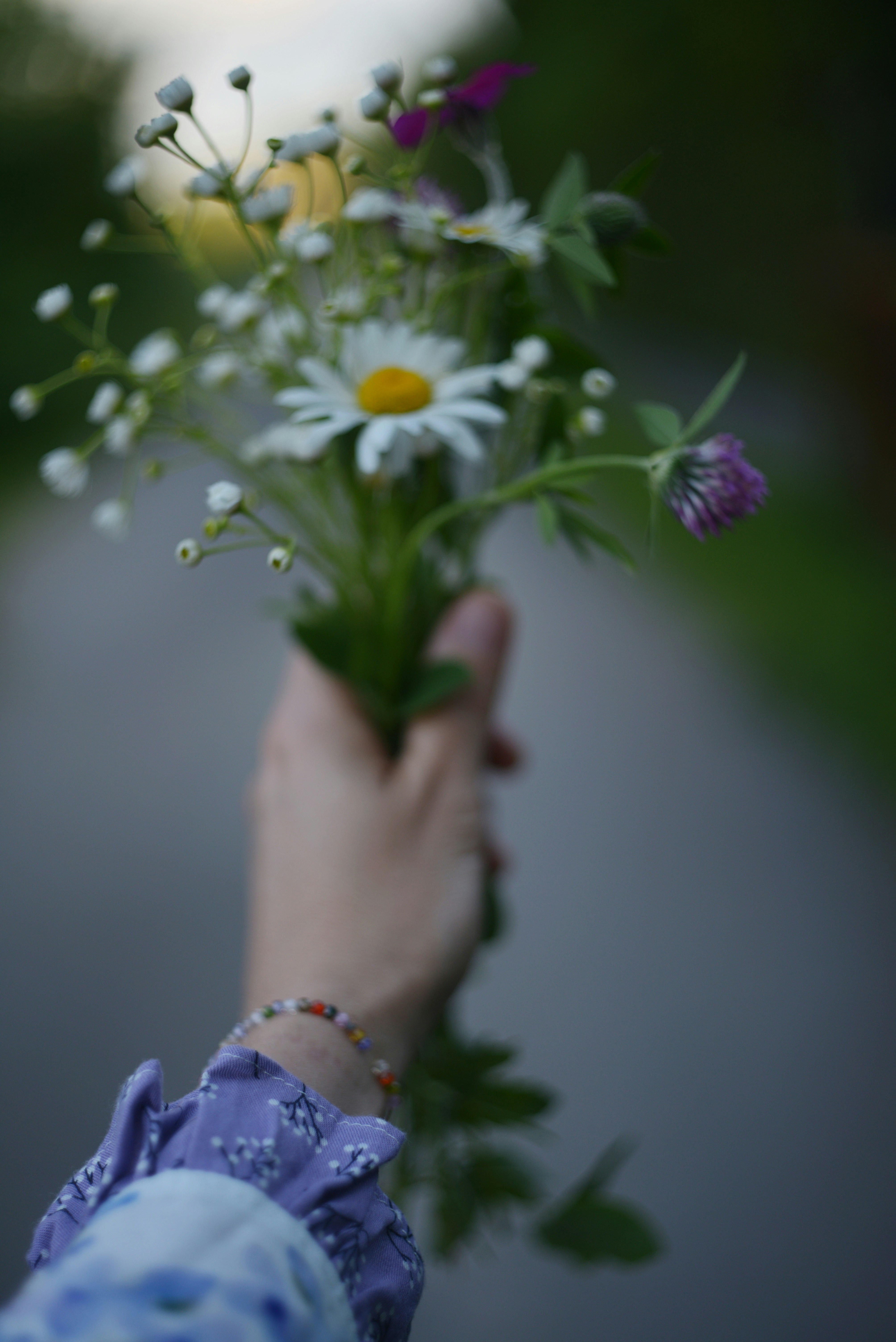 Bouquet in Hand: A Lose-Loss of Focus on Wildflowers