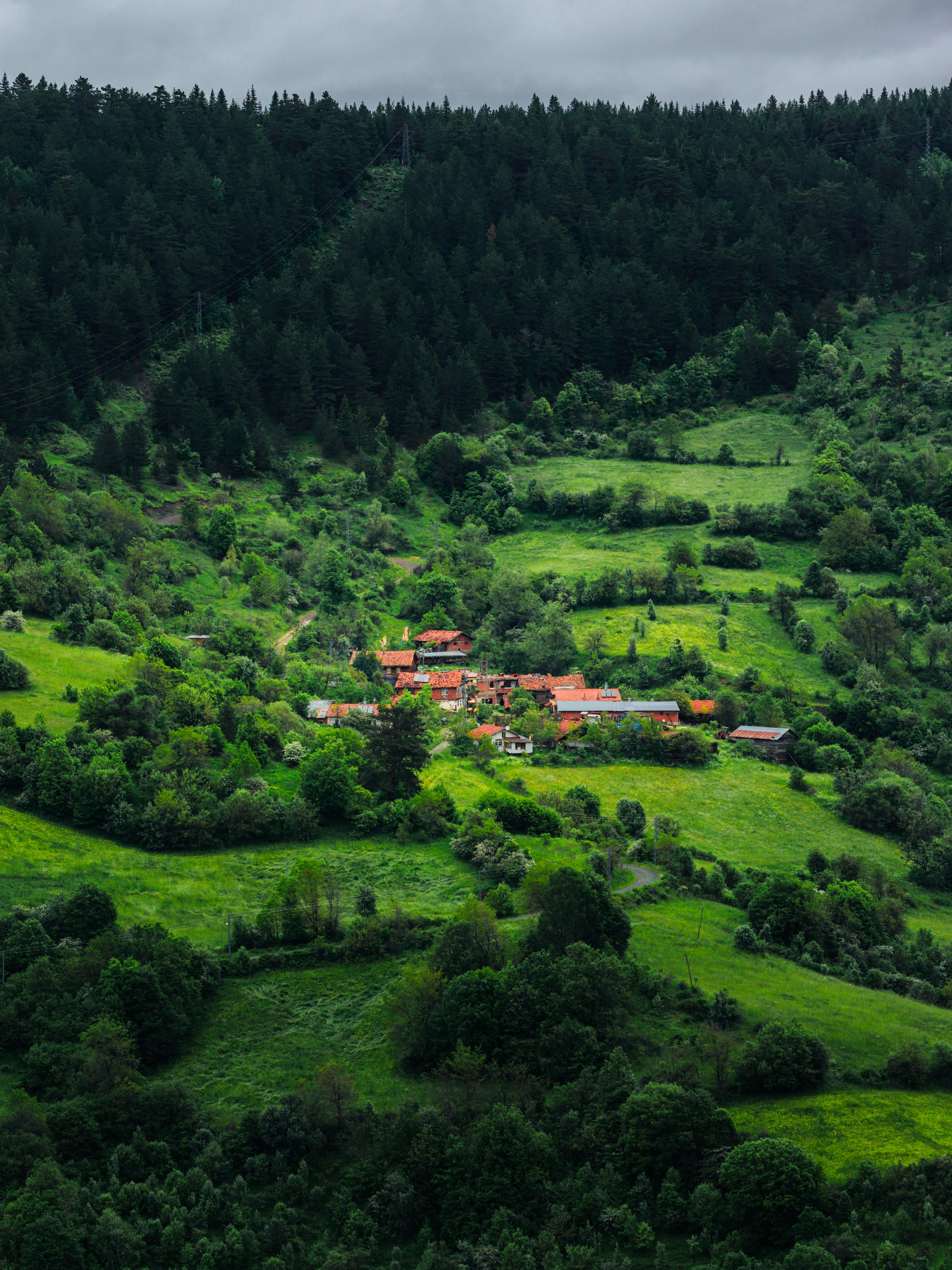 Village Nestled in Emerald Valleys Beneath a Dense Forest