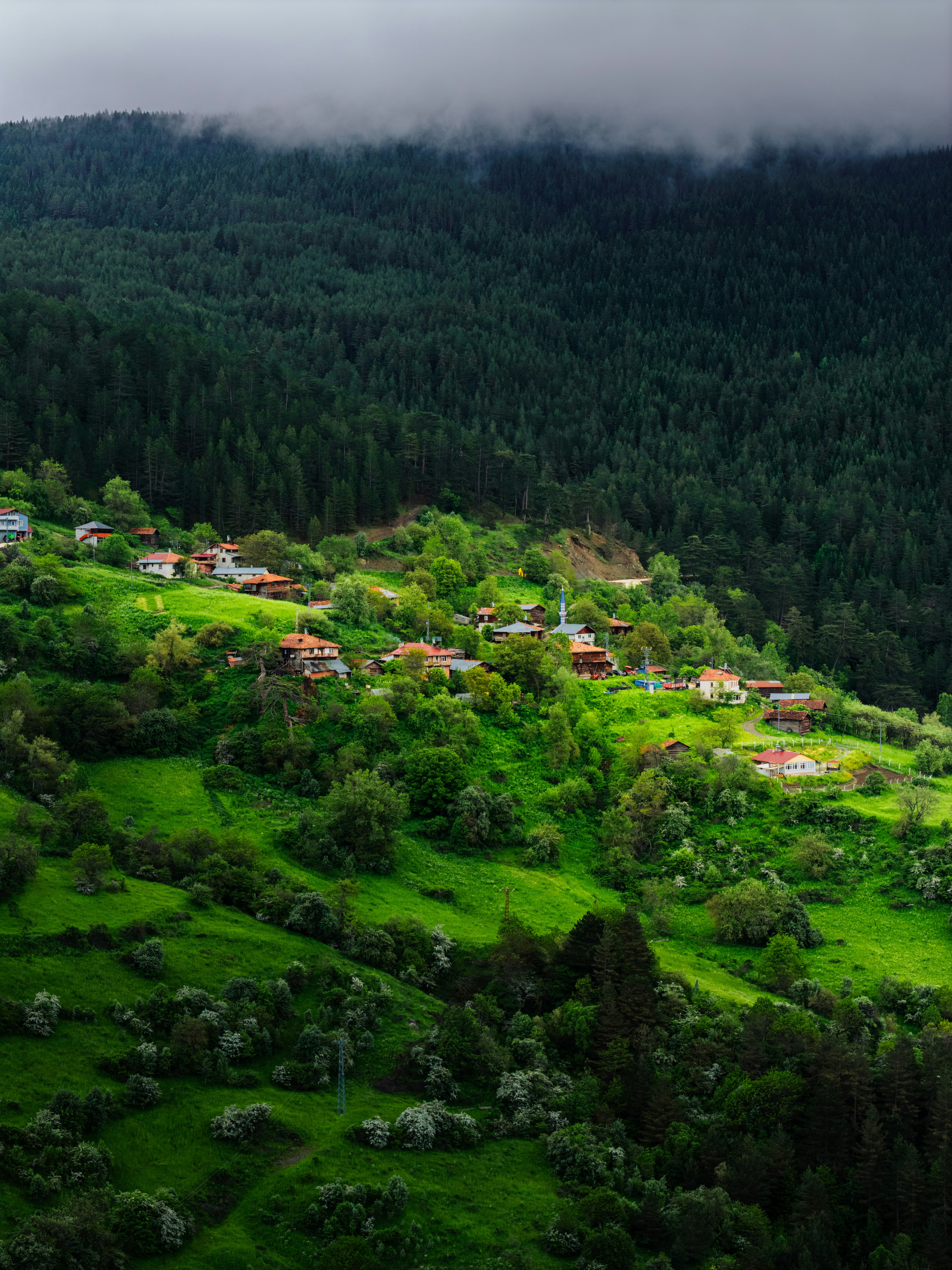 Rural village nestled on a lush green hillside