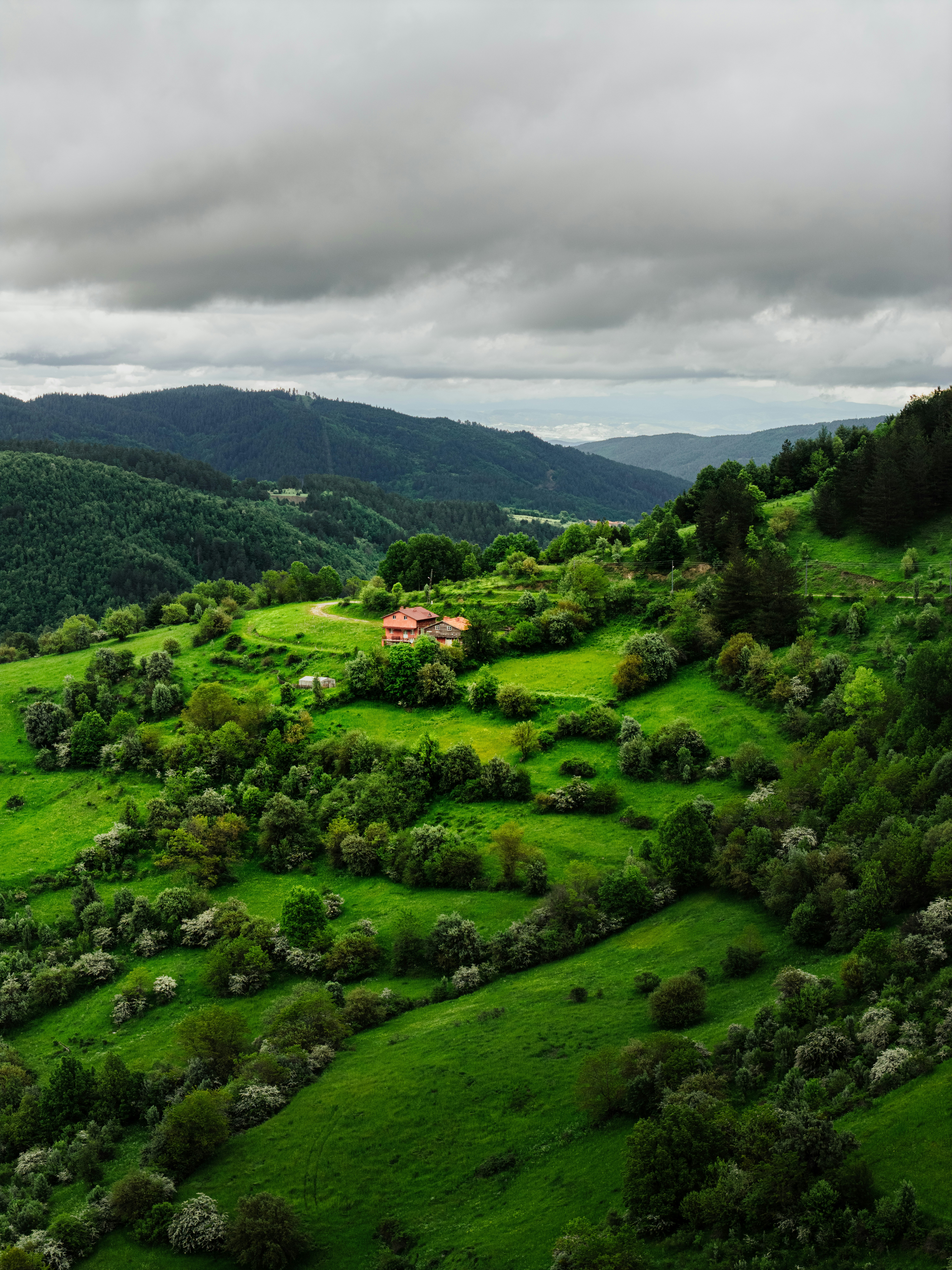 Green Hills under Clouded Horizon with a Rustic House