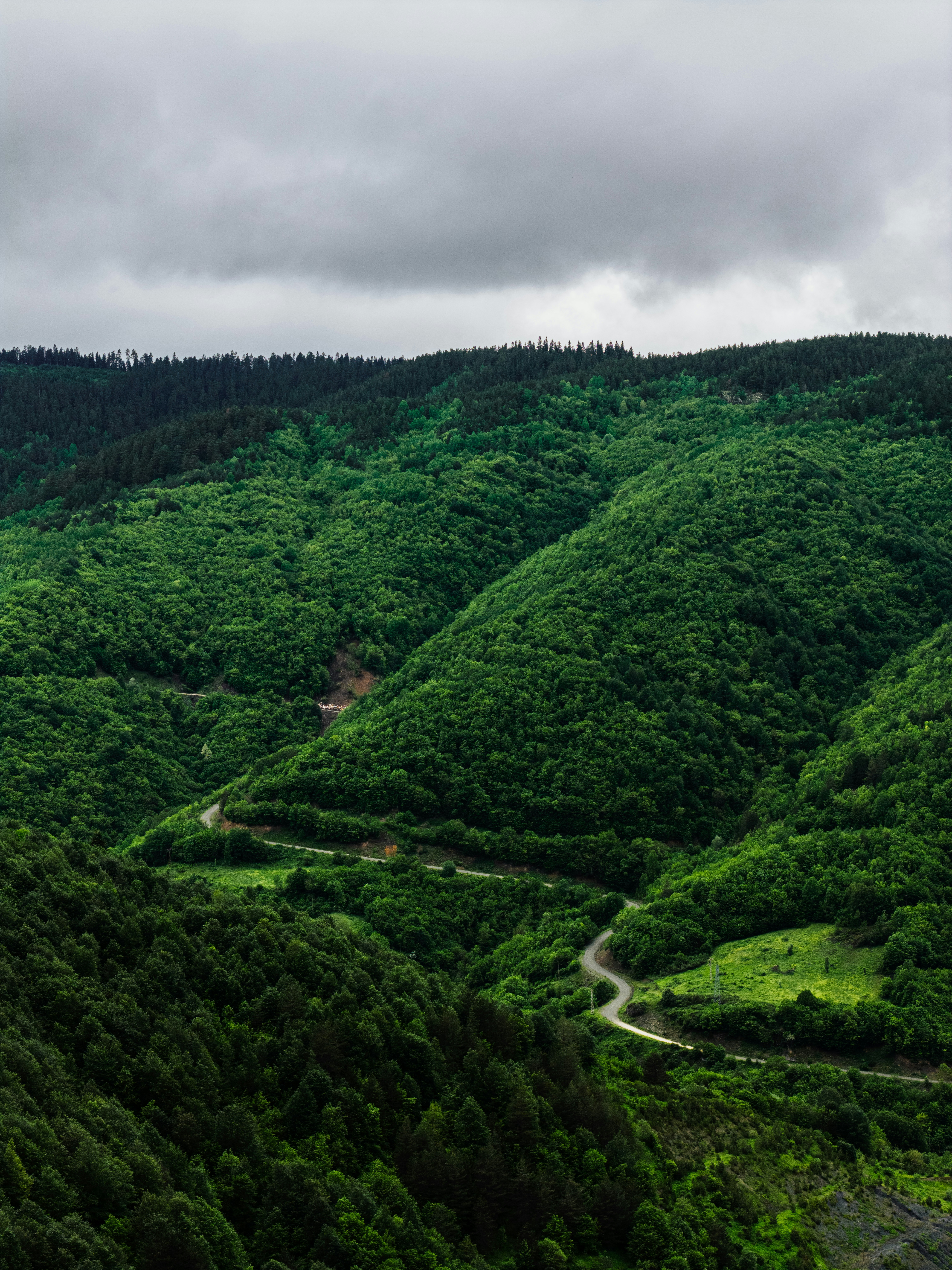 Green Valley Road Winding Through Cloud-Capped Hills