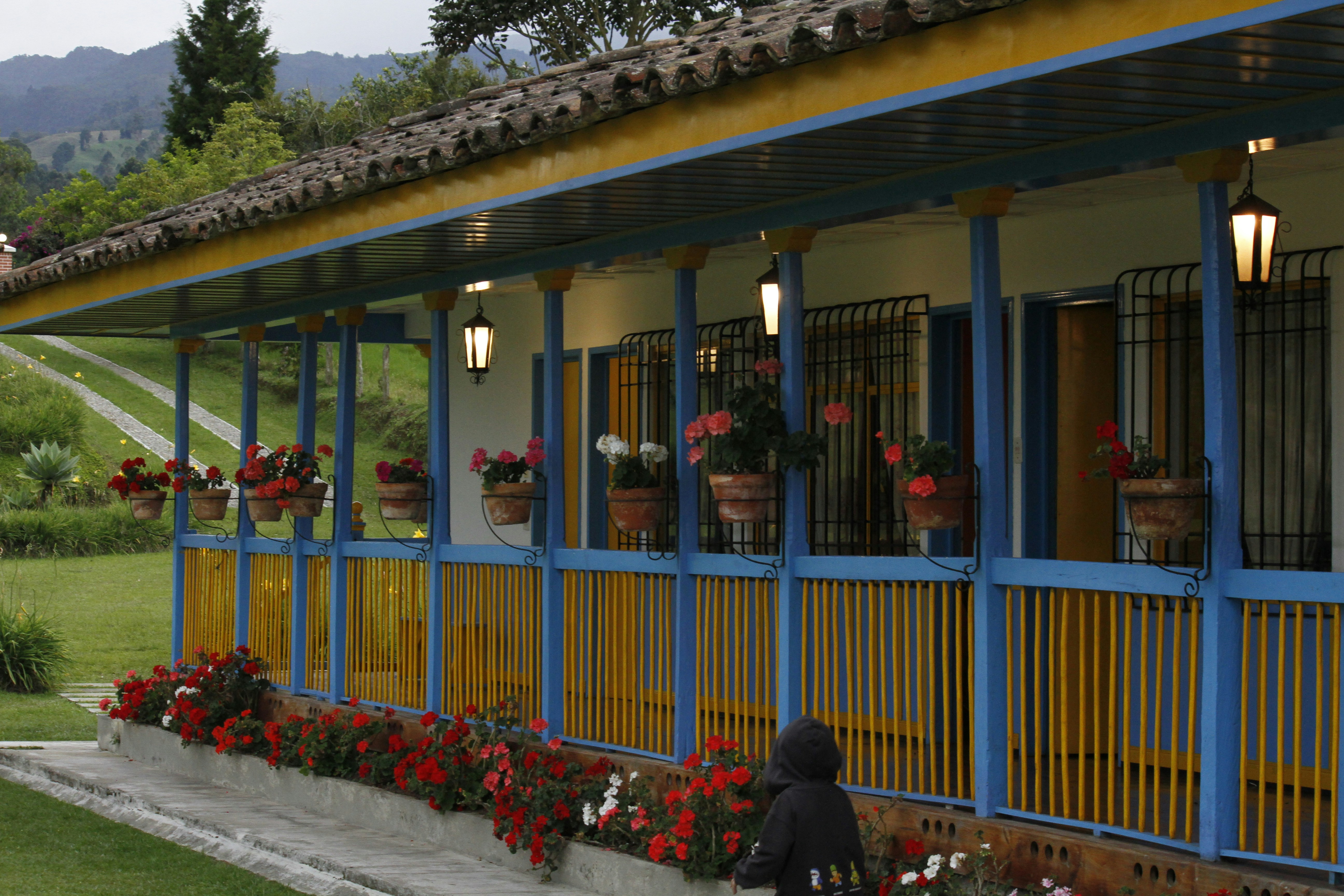 Blue-and-Yellow Veranda Line: Flower Pots and Lanterns along a Covered Corridor