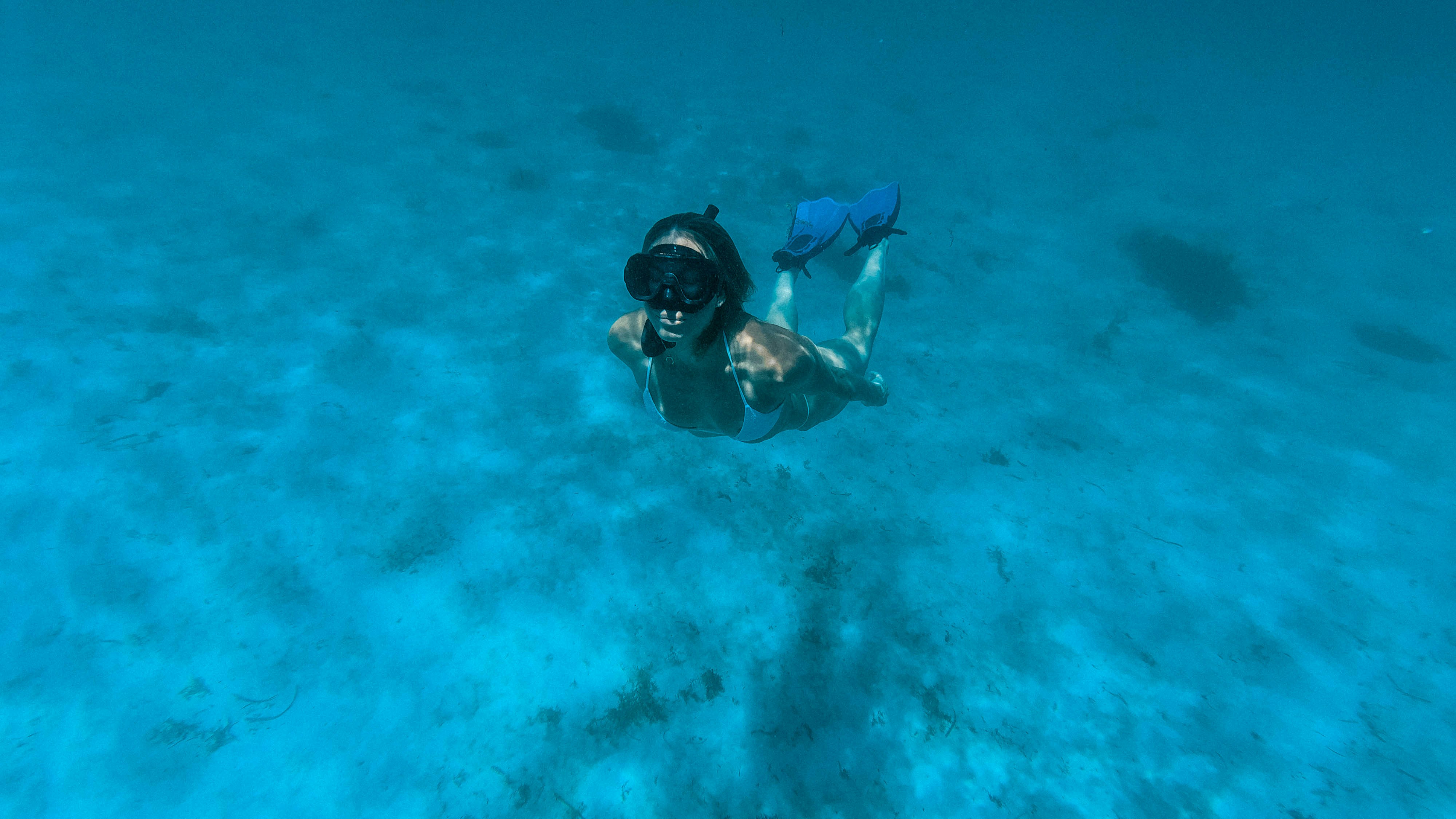 Underwater Scout: Diver with Blue Fins Glides over a Coral Plane
