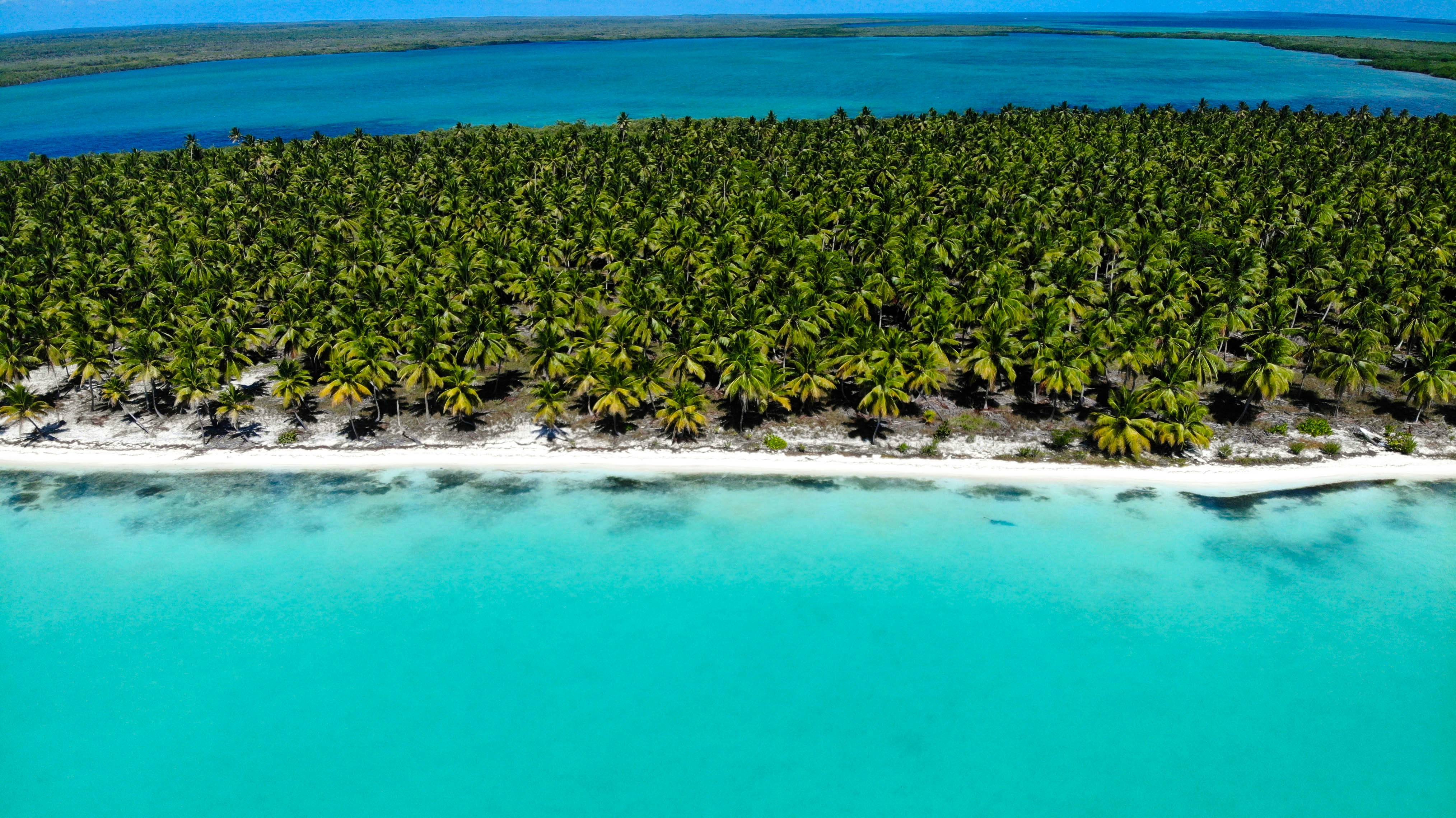 Emerald Ribbon: A Palm-forested Barrier Fringed by Turquoise Waters