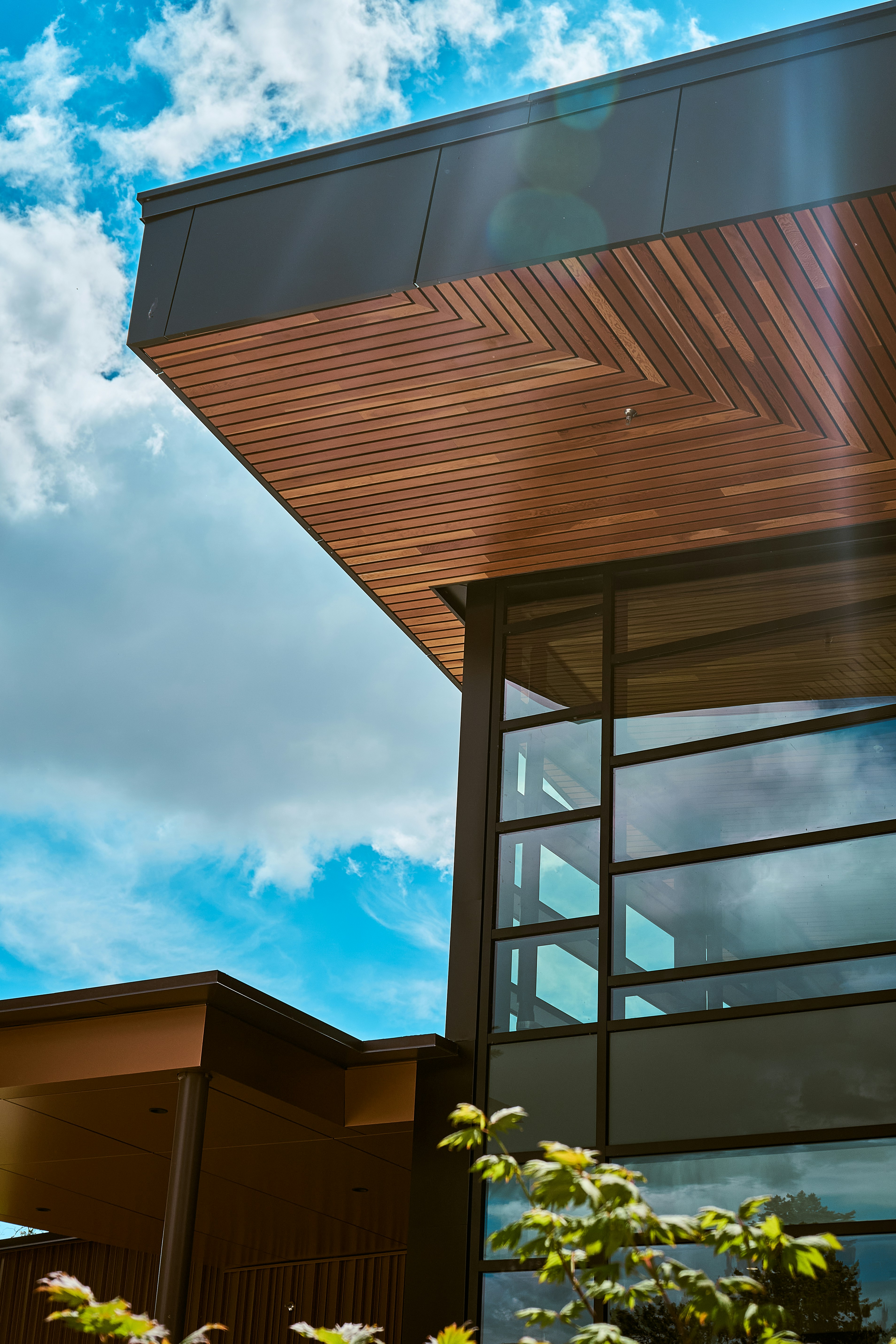 Architectural Edge: Cedar Clad Overhang Meets Glass Facade Under a Blue Sky