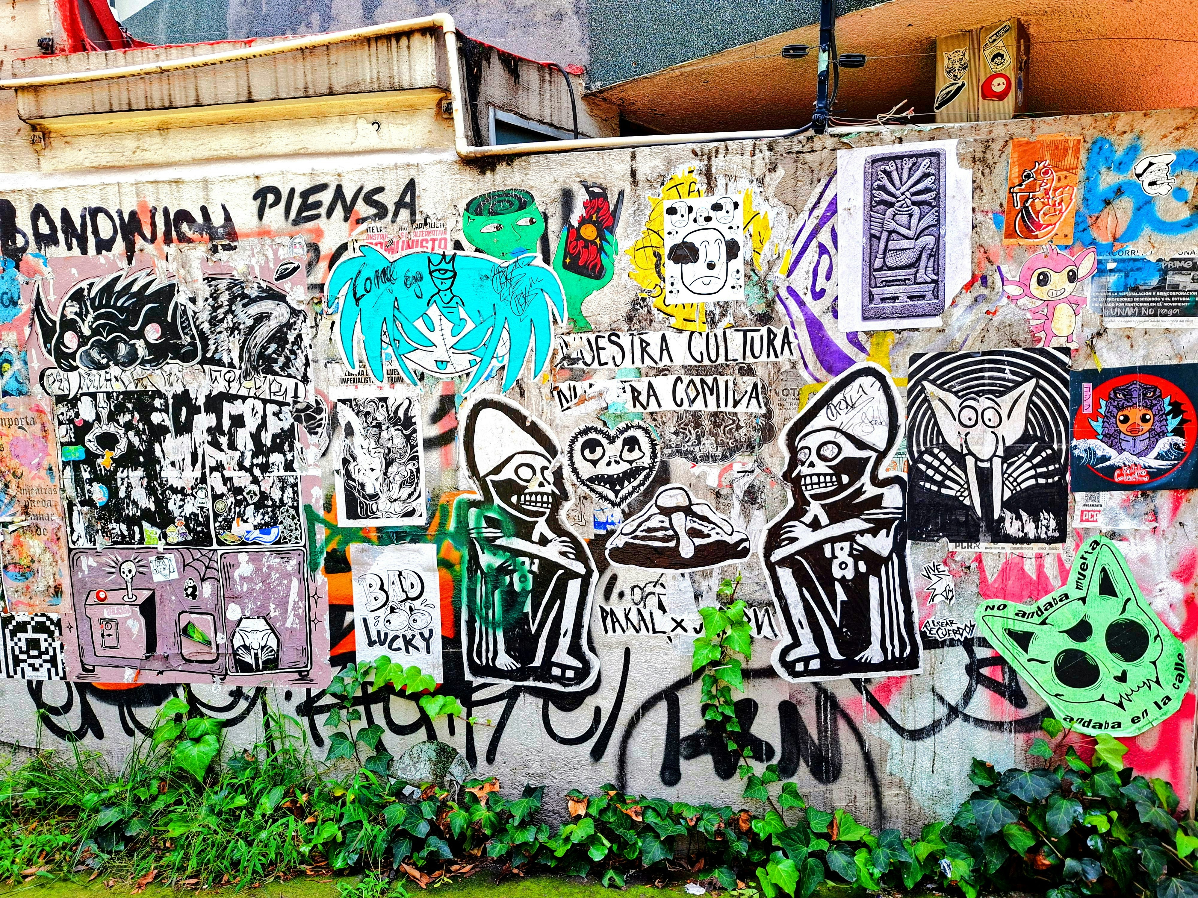 Colorful Street Canvases: A Wall of Graffiti Portraits and Mascots