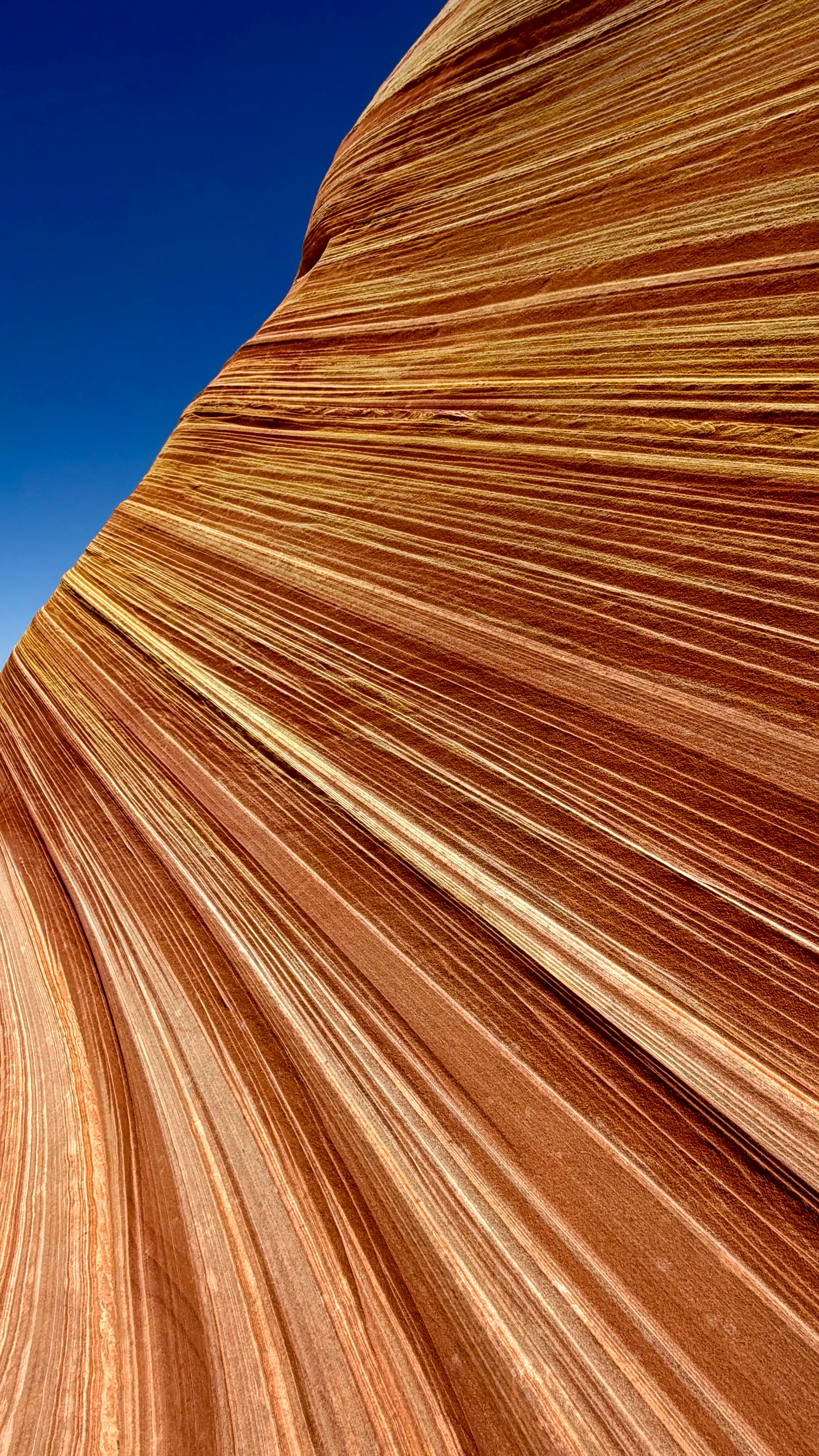 Striated Canyon Curve Under a Cerulean Sky