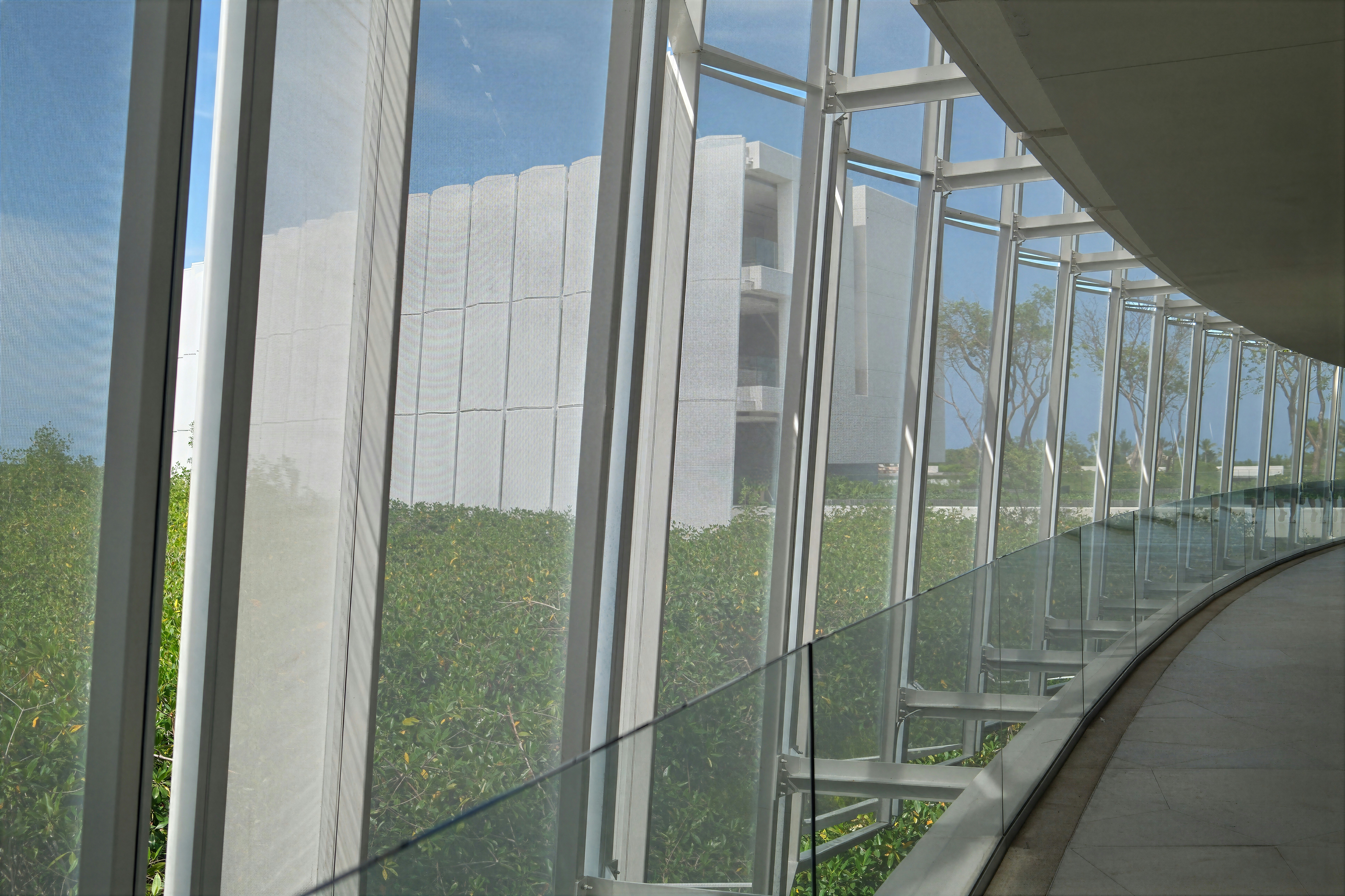 Windowed Curves: A Modern Corridor in Sunlit Glass