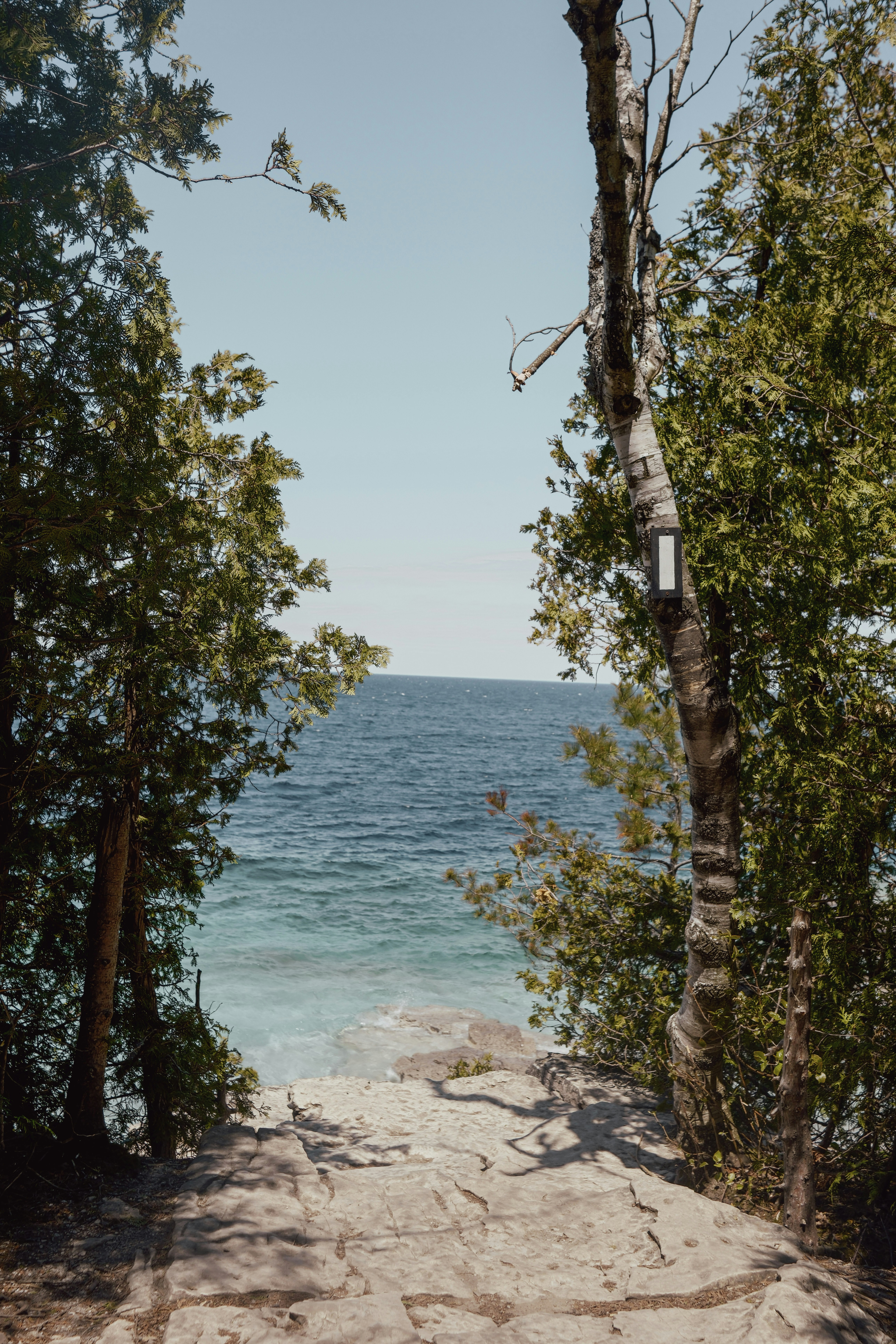 Sea Gate: a rocky path opens to turquoise waters beyond a shaded trail