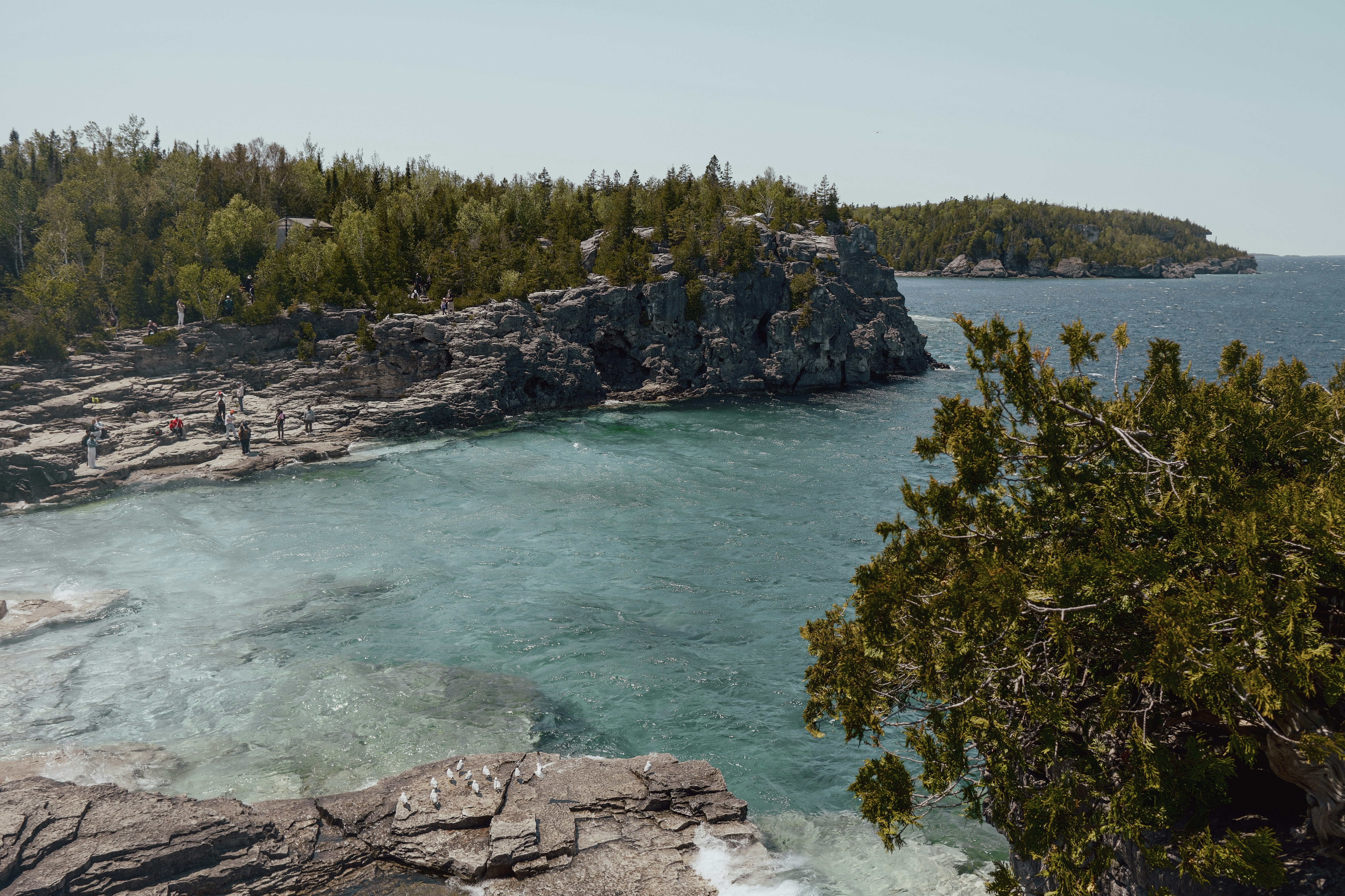 Emerald Cove: Cliffside Outcrop and Turquoise Tide