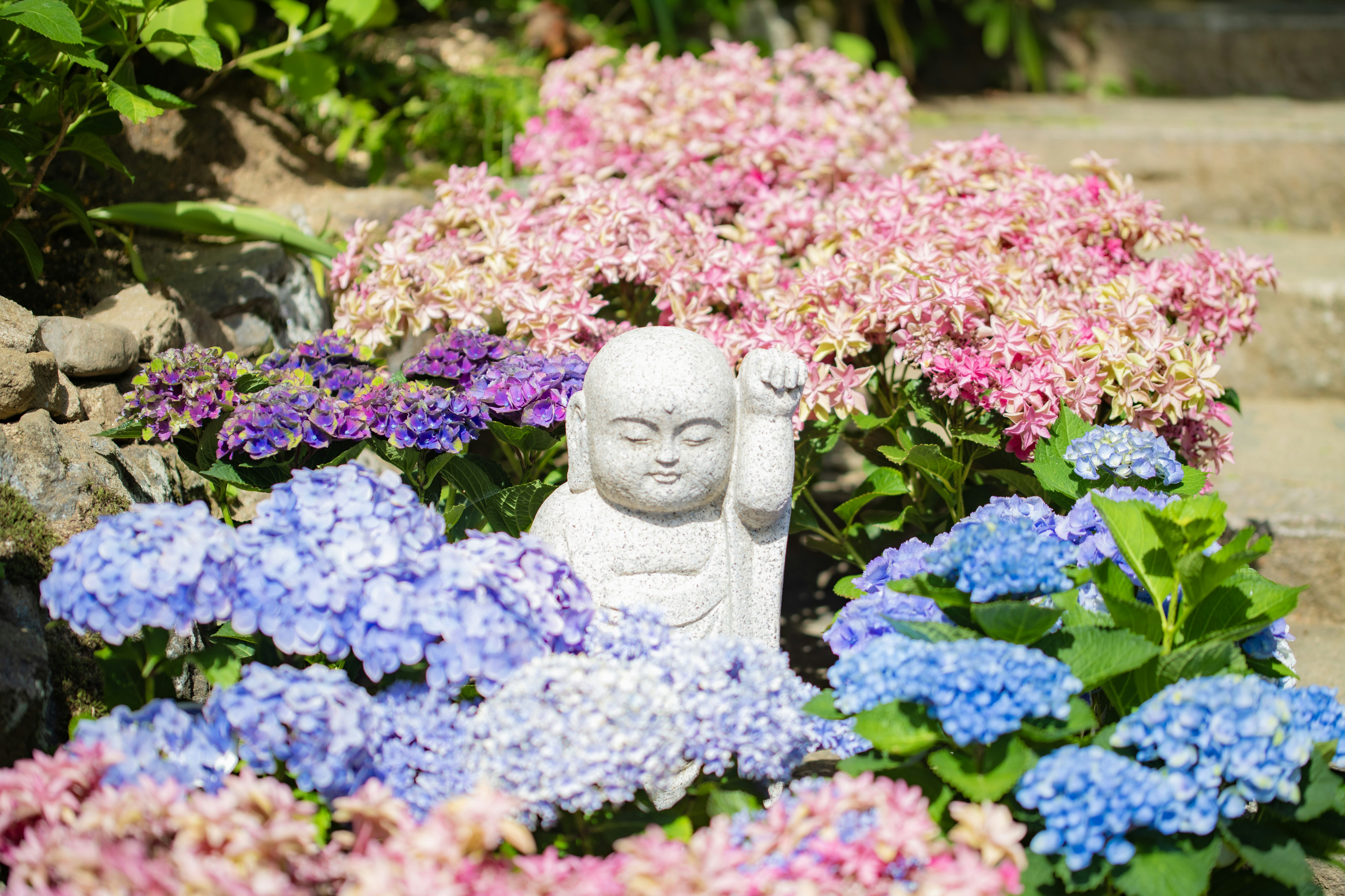 Quiet Zen in a Hydrangea Garden: A Small Stone Statue Among Blooming Colors