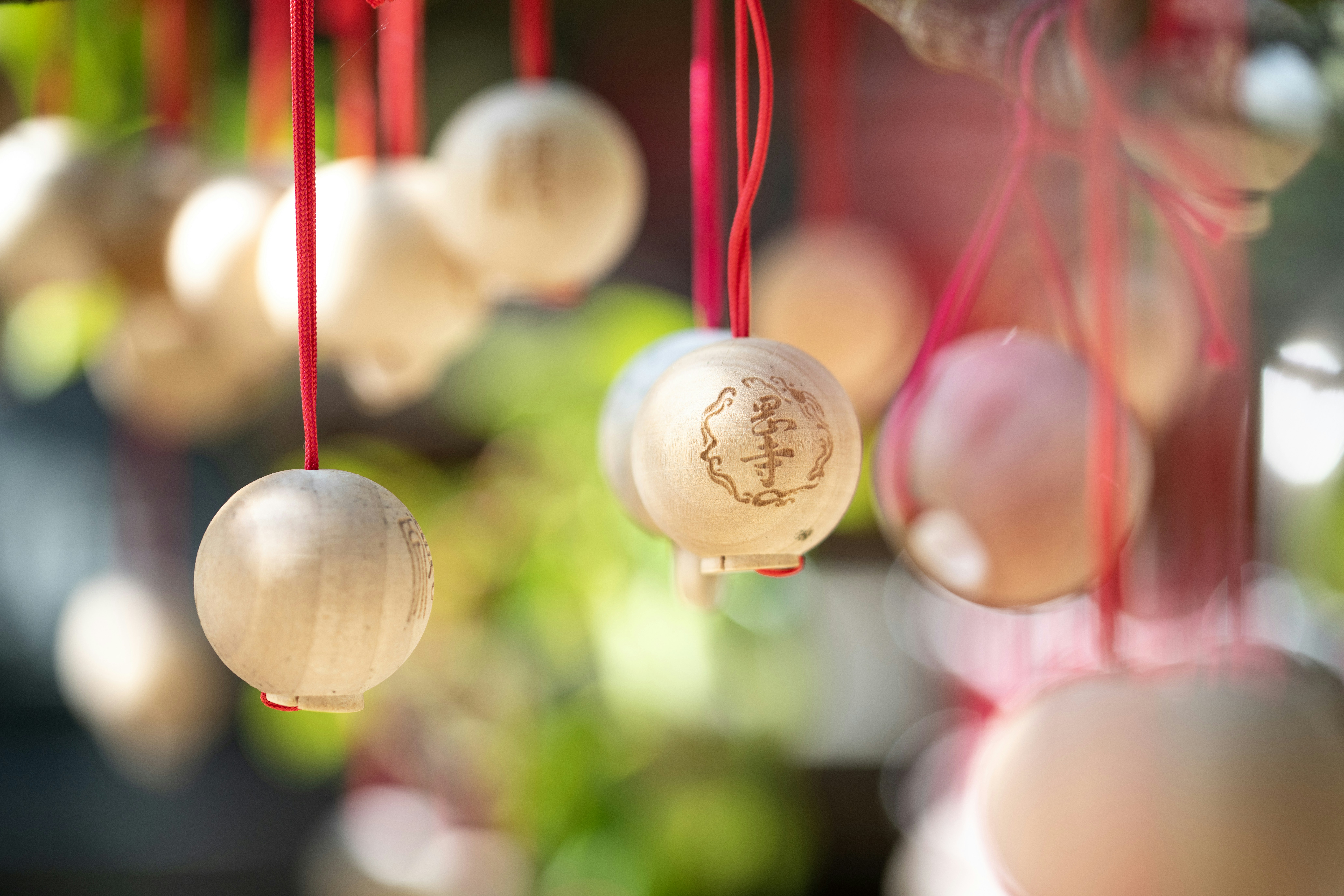 Floating Orbs of Autumn Light