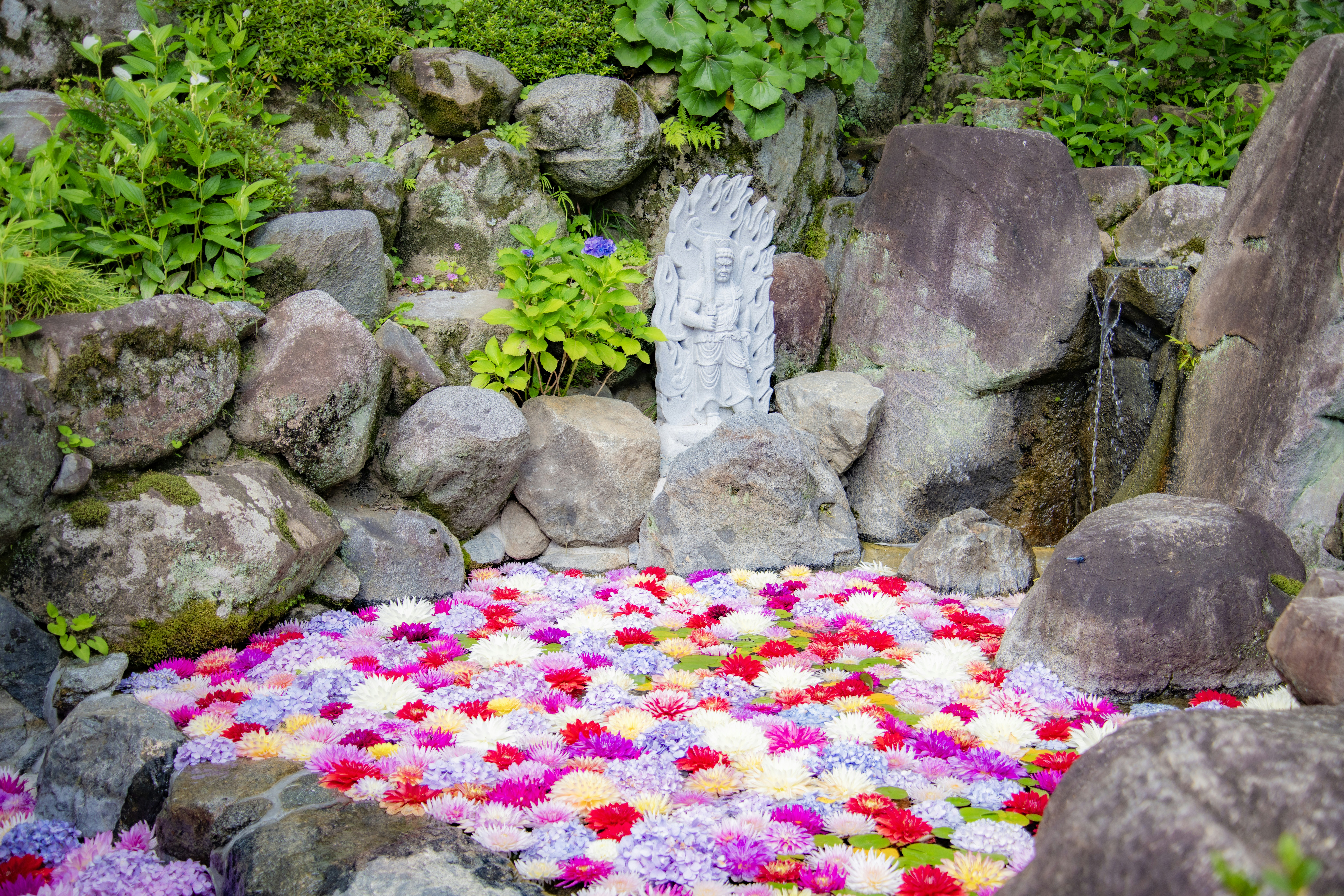 Petal Mosaic at a Tranquil Shrine