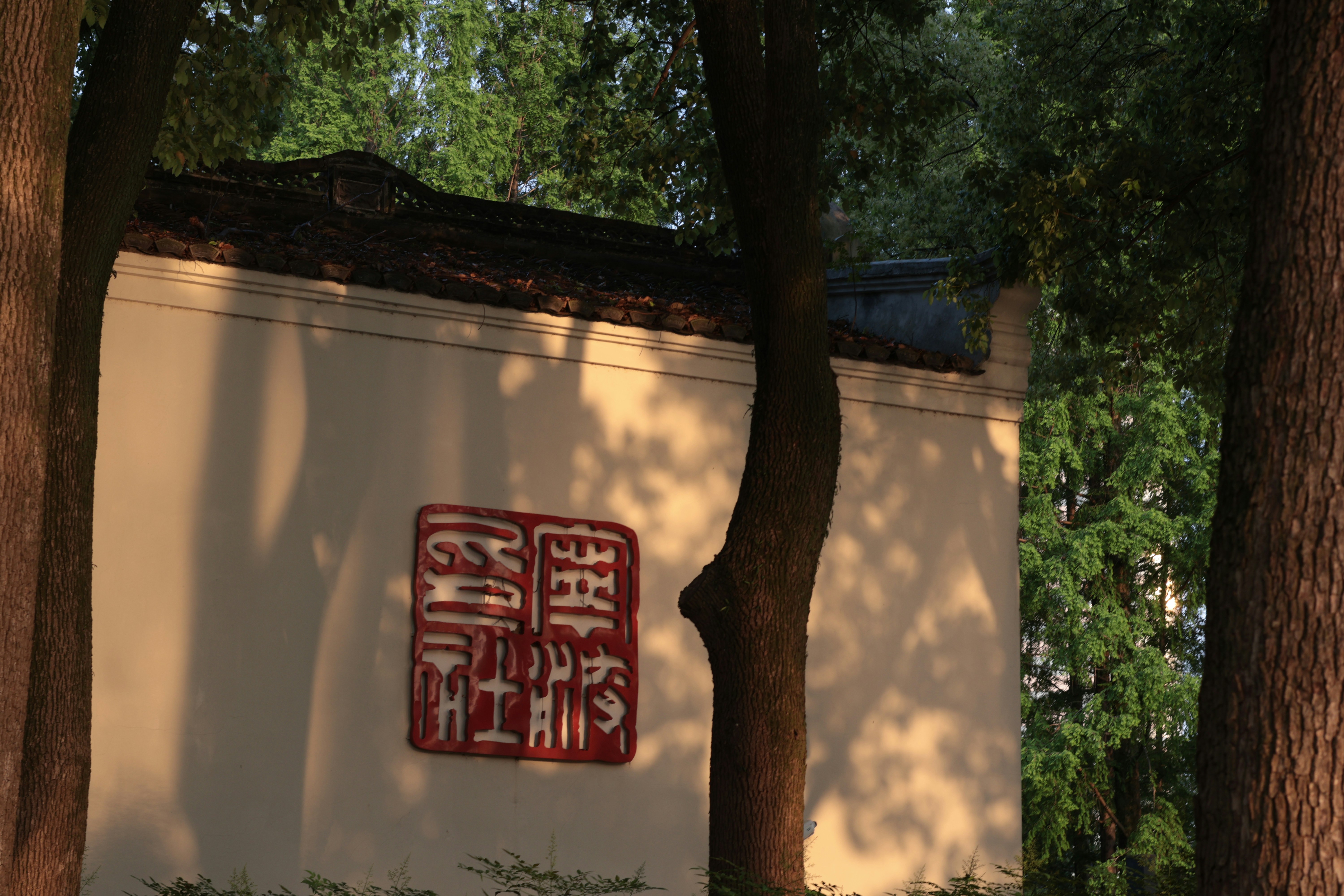 Shadowed Wall with Red Seal in a Quiet Park.