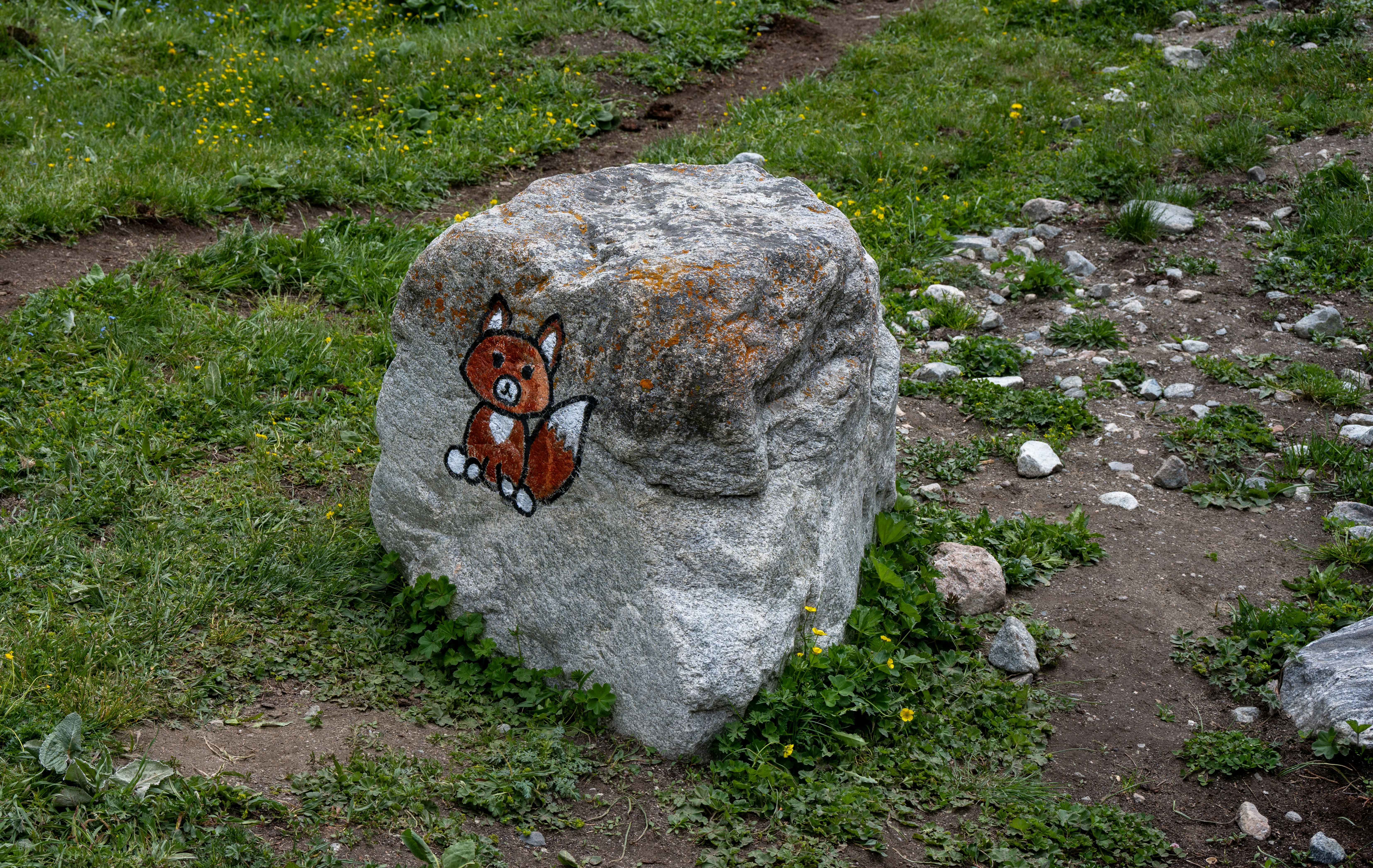 Graffiti Squirrel on a Mountain Stone