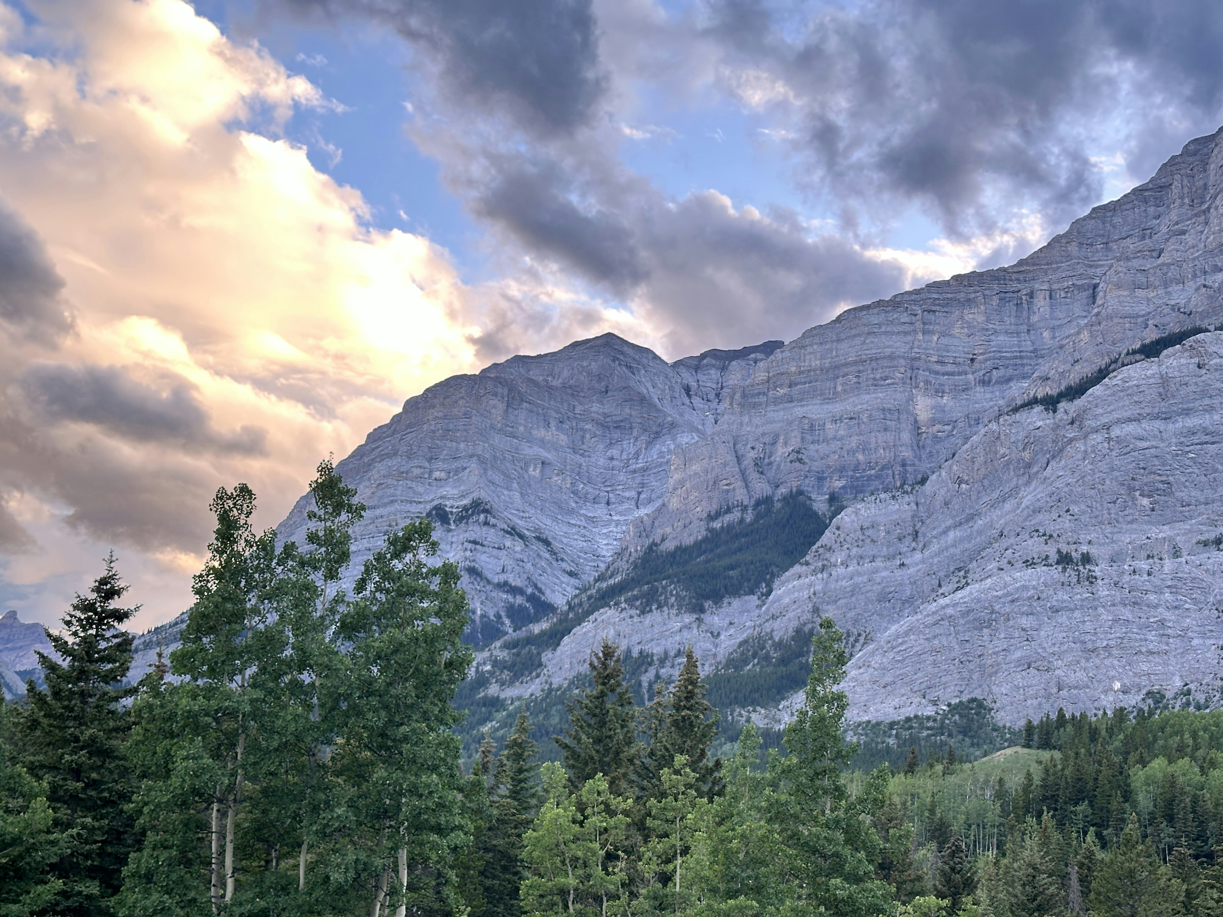 Sunlit Peaks Over Quiet Pines