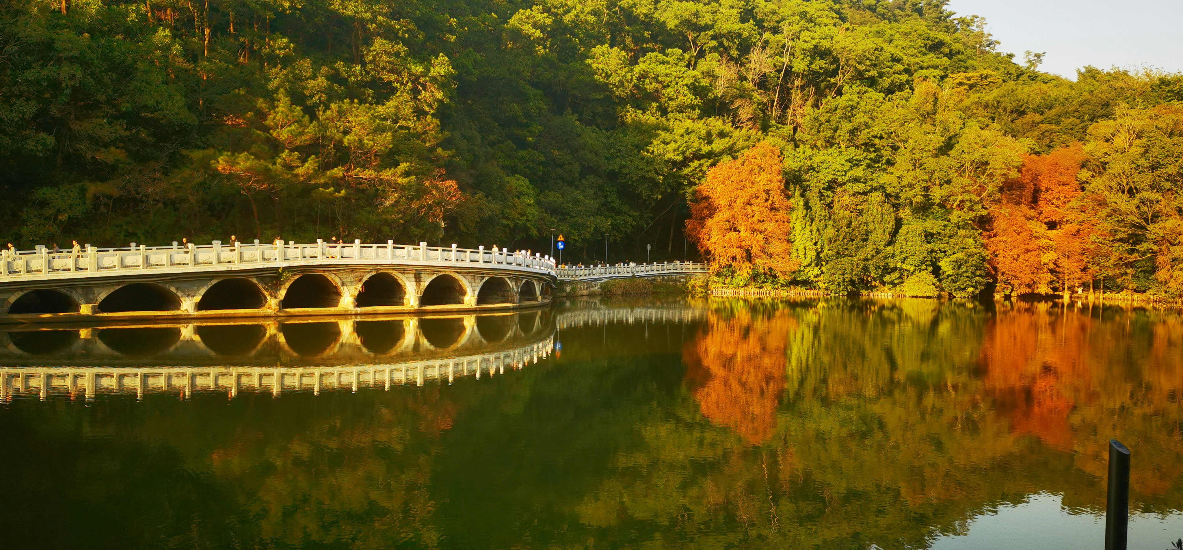 Autumn Arc: Bridge and Reflection Across a Serene Lake