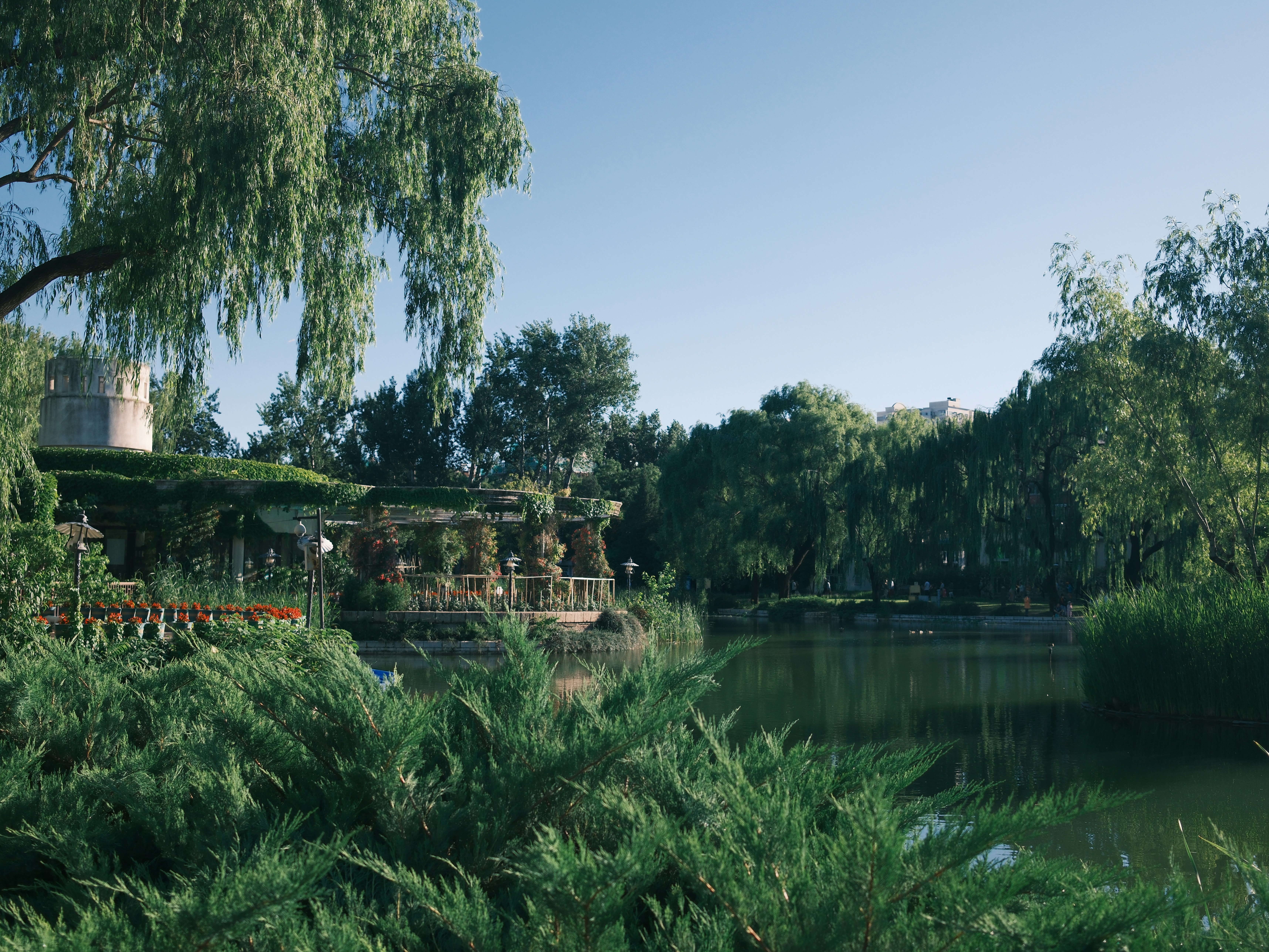 Serene riverside pavilion amid lush greenery