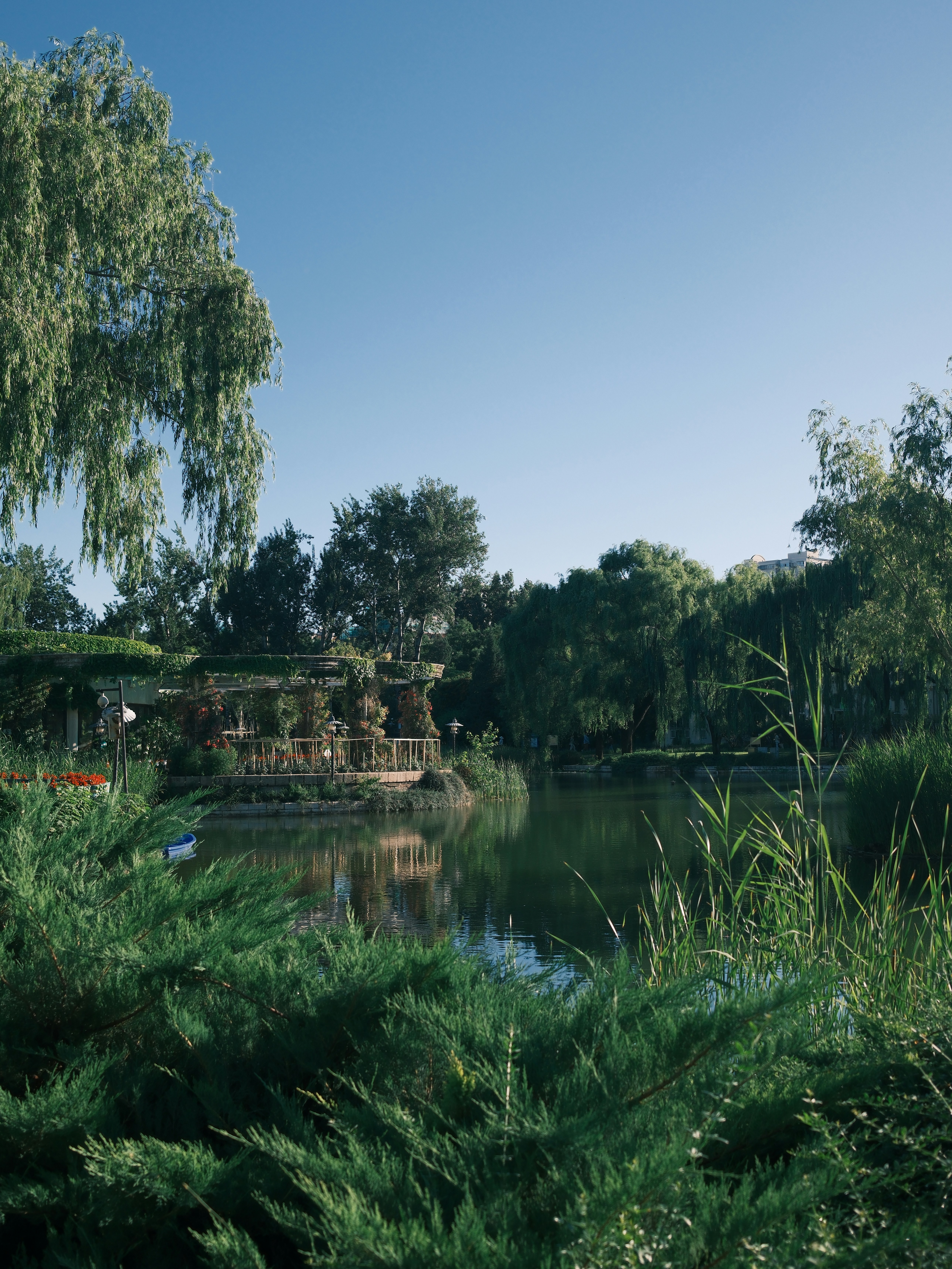 Quiet Lakeside Terrace Under a Clear Afternoon Sky